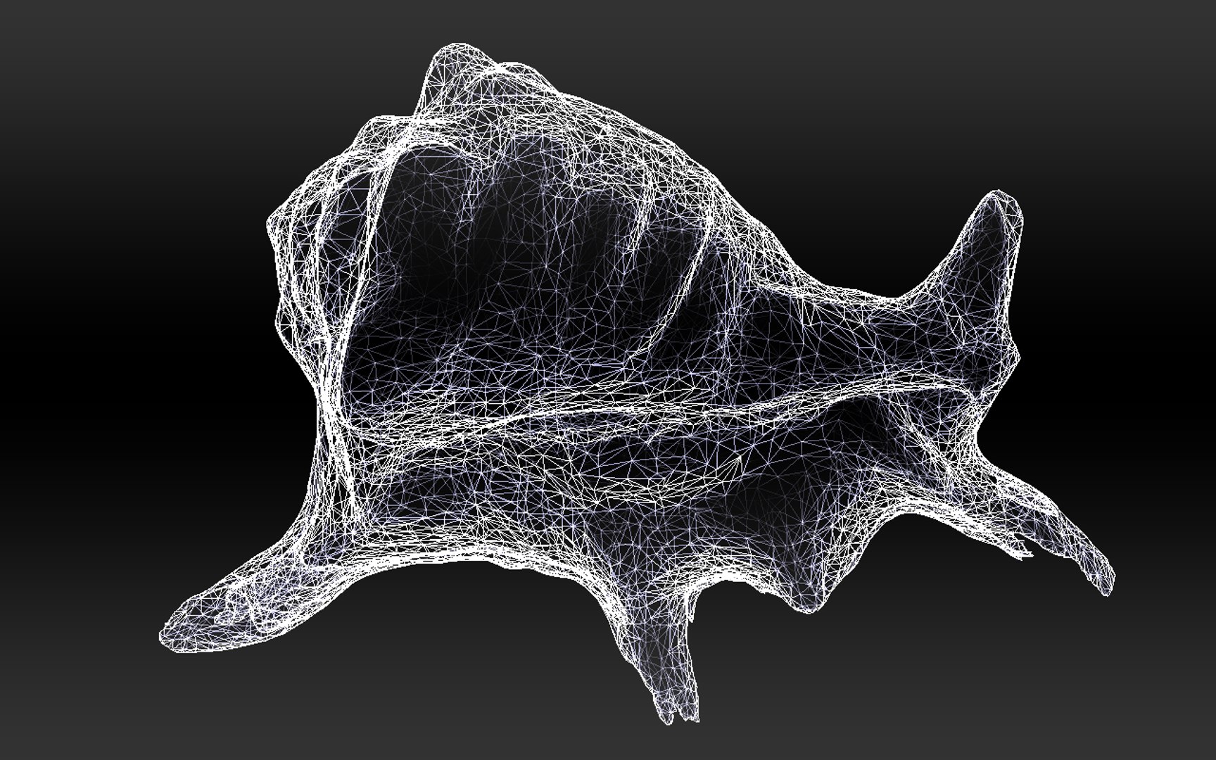 Shell 3D Model - TurboSquid 1604809