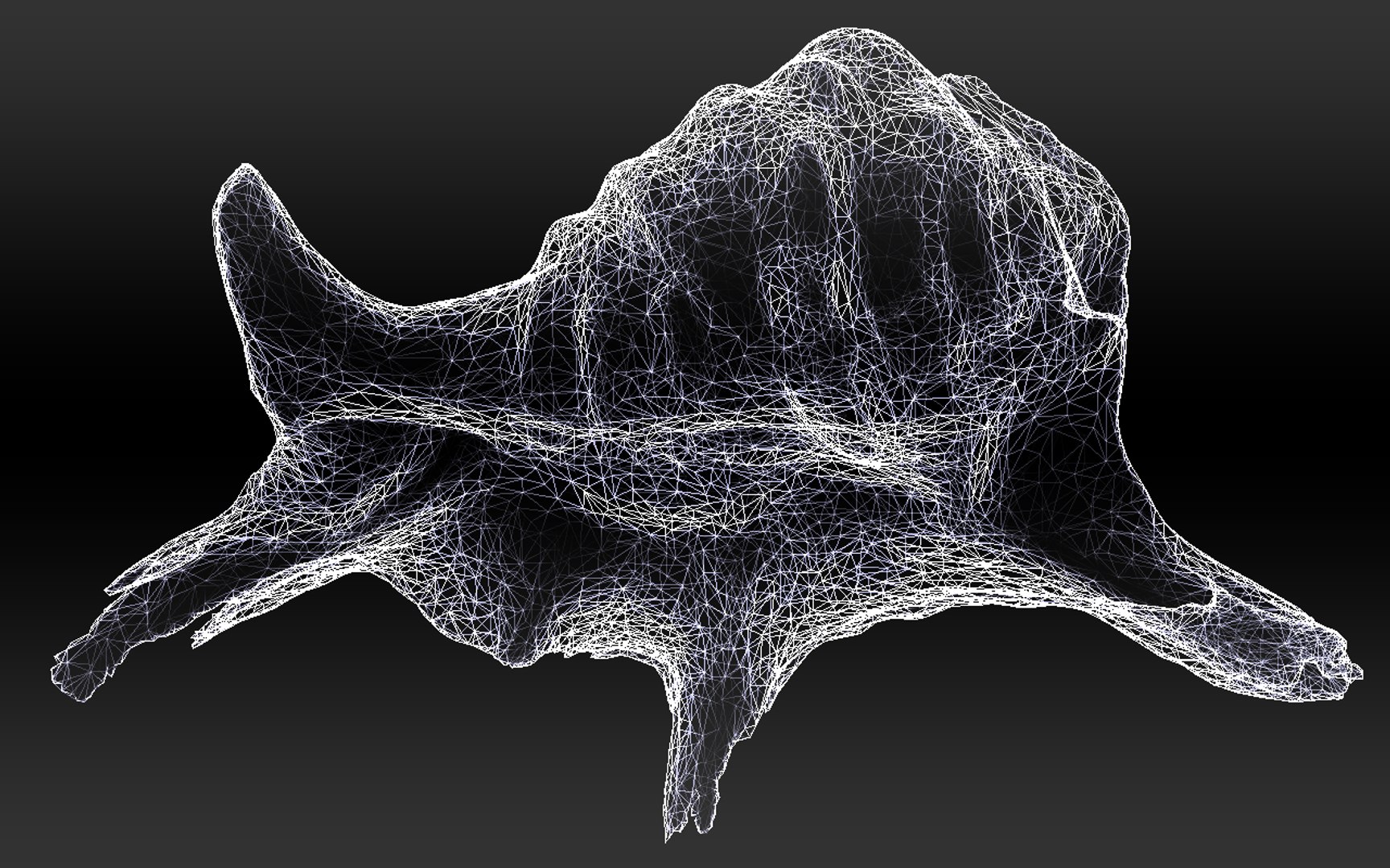 Shell 3D Model - TurboSquid 1604809