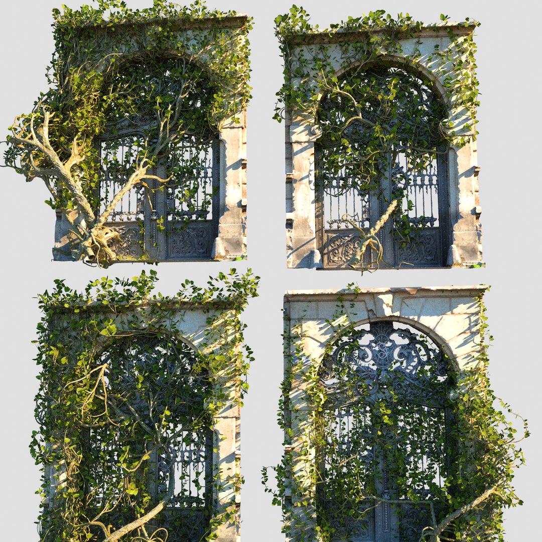 3D Model Overgrown Gate Ivy Pack 4 - TurboSquid 1785619
