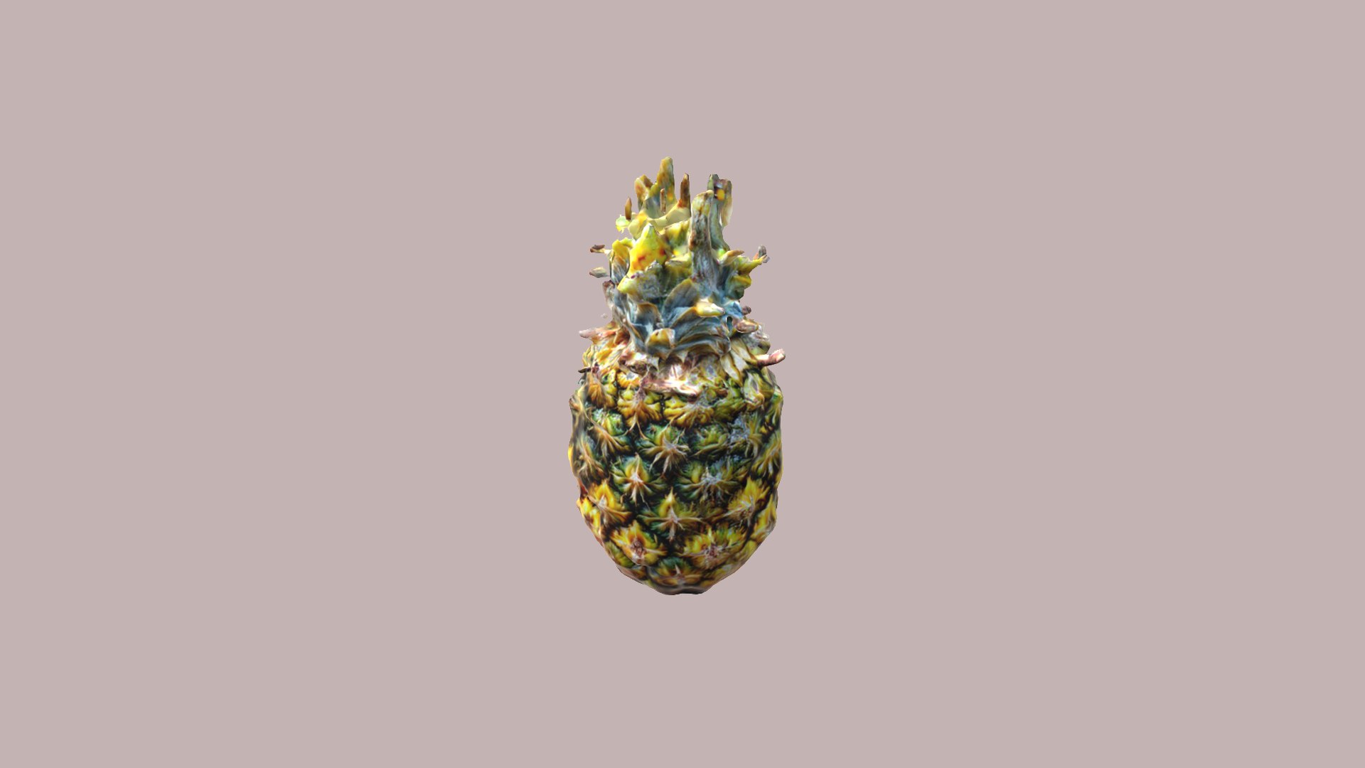 3D Model Pineapple Ananas Comosus - TurboSquid 2138187