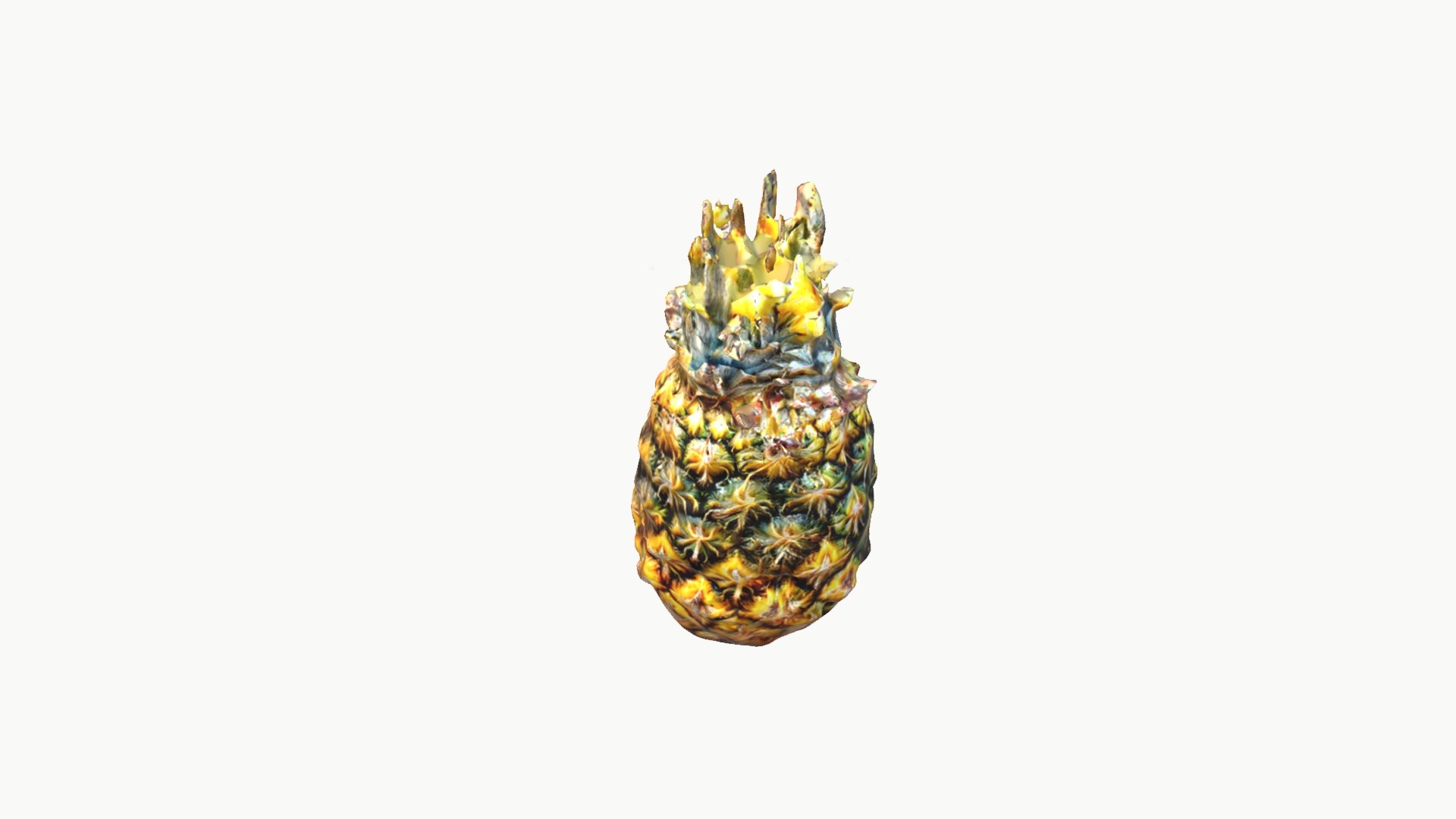 3D Model Pineapple Ananas Comosus - TurboSquid 2138187