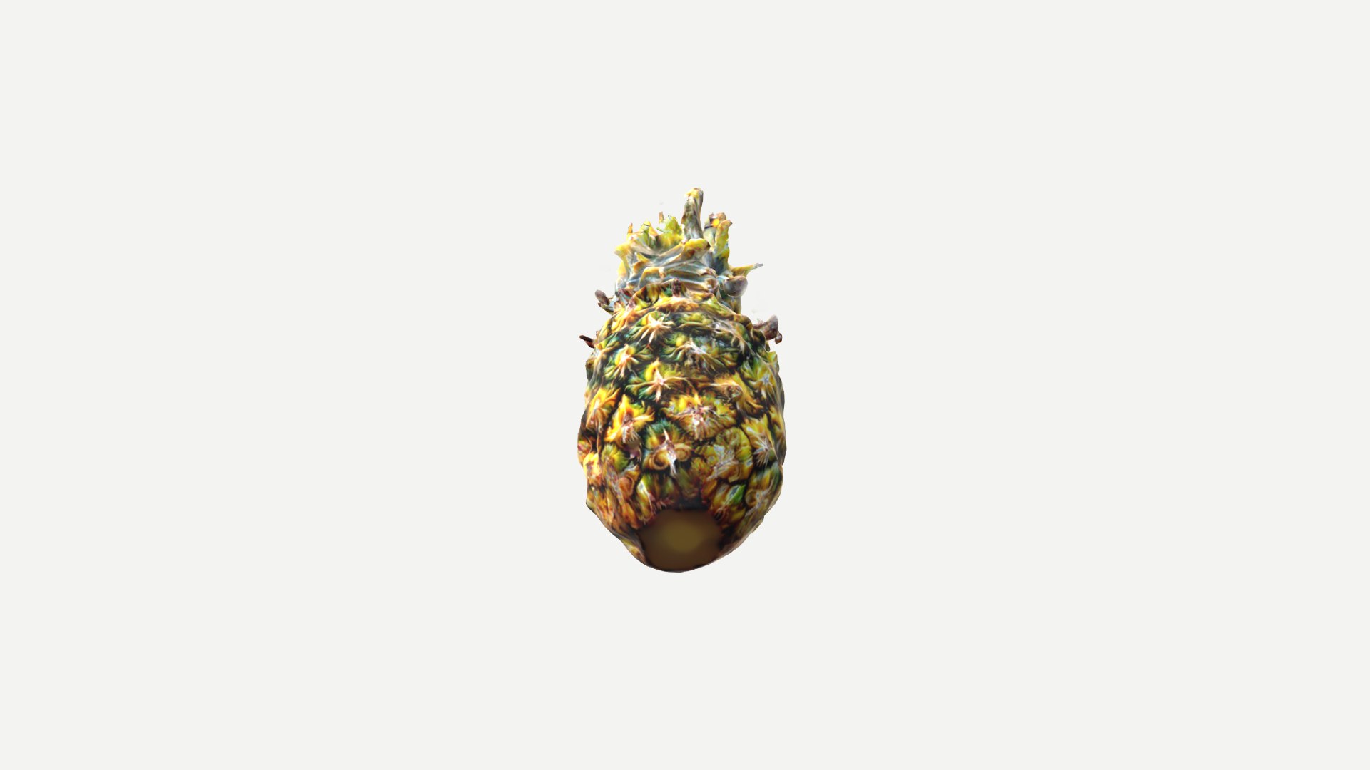 3D Model Pineapple Ananas Comosus - TurboSquid 2138187