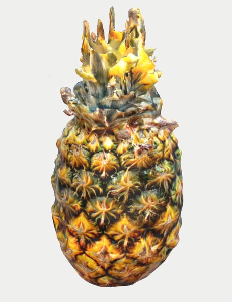 modelo 3d Piña Ananas Comosus - TurboSquid 2138187