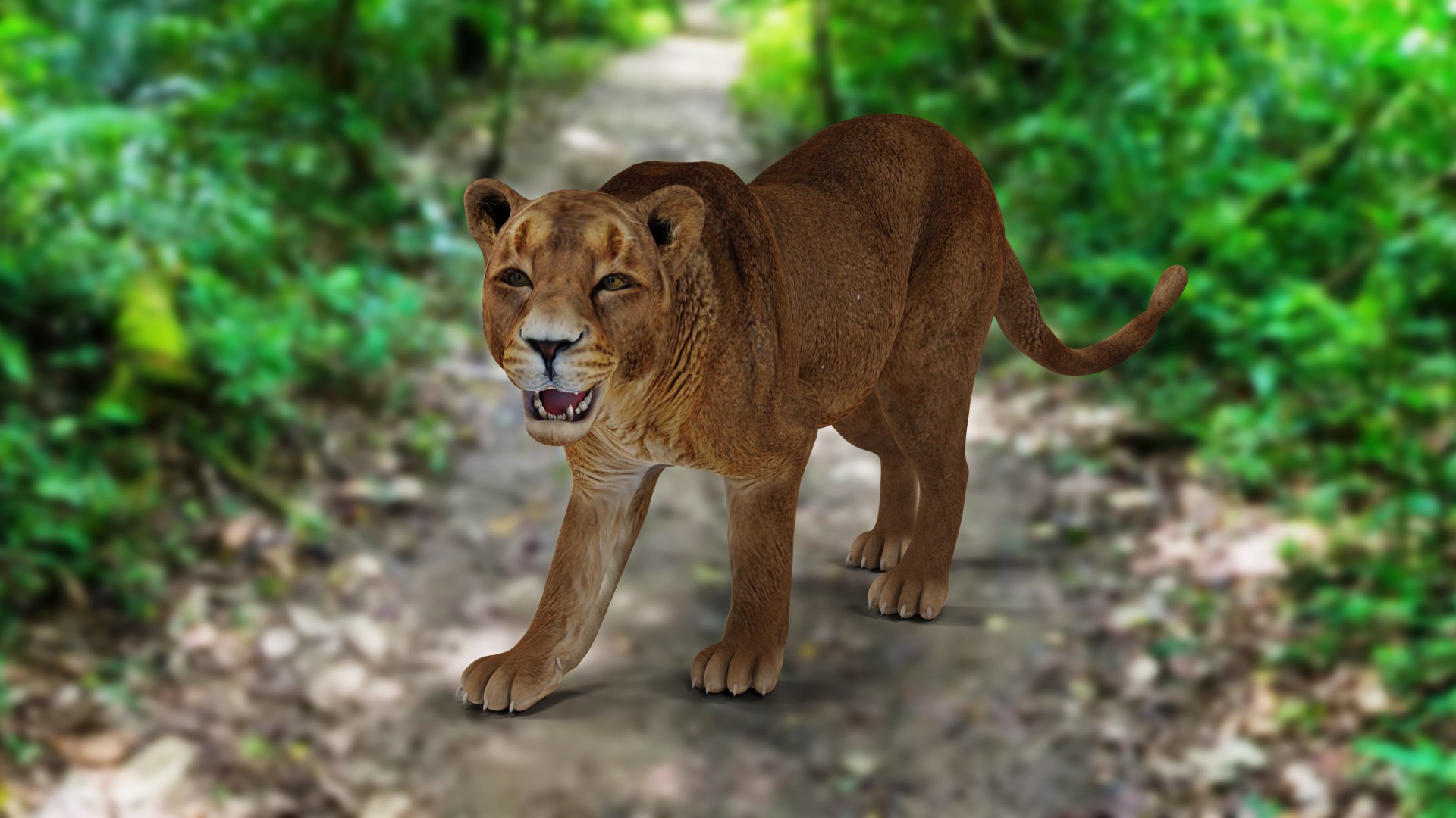 3d Lioness Rigged V02 In Blender Turbosquid 2096197