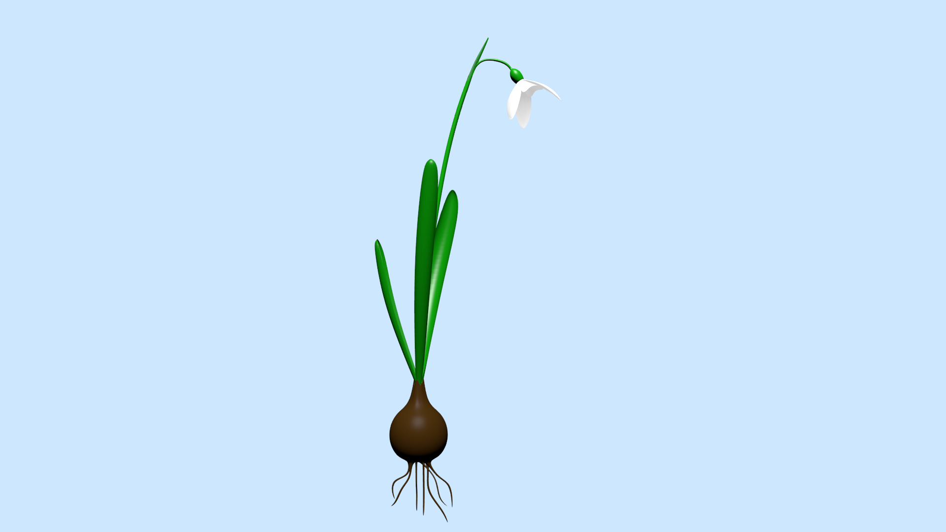 3D Snowdrop - TurboSquid 1477924