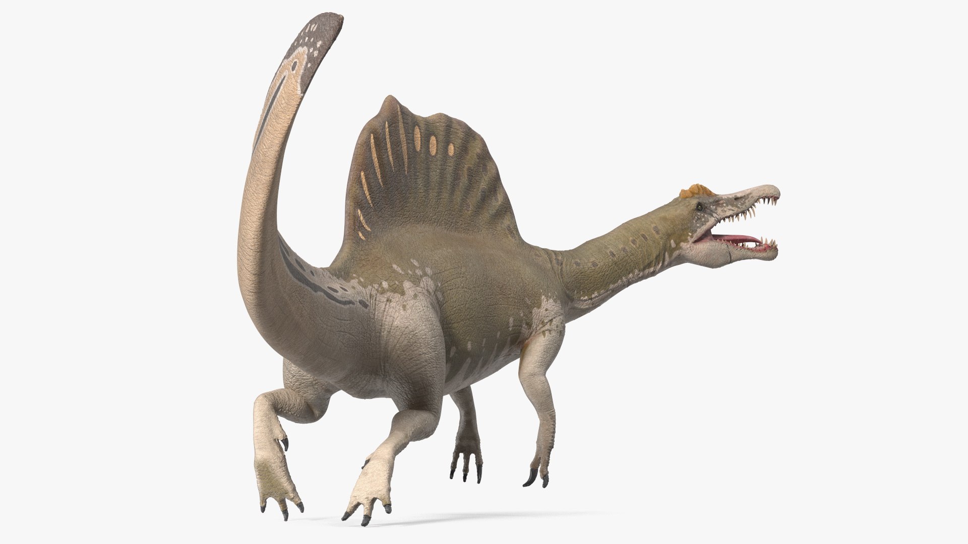 Spinosaurus Dinosaur Yellow Swimming Pose 3D Model - TurboSquid 2265677