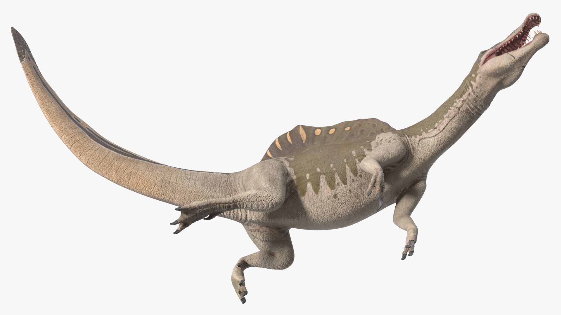 Spinosaurus Dinosaur Yellow Swimming Pose 3D Model - TurboSquid 2265677