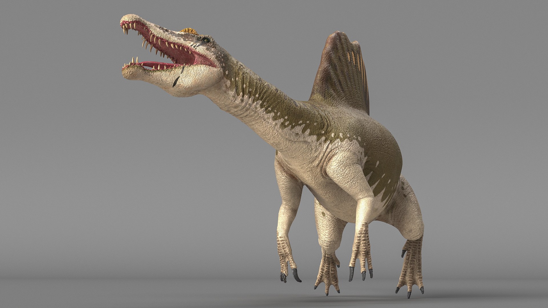 Spinosaurus Dinosaur Yellow Swimming Pose 3D Model - TurboSquid 2265677
