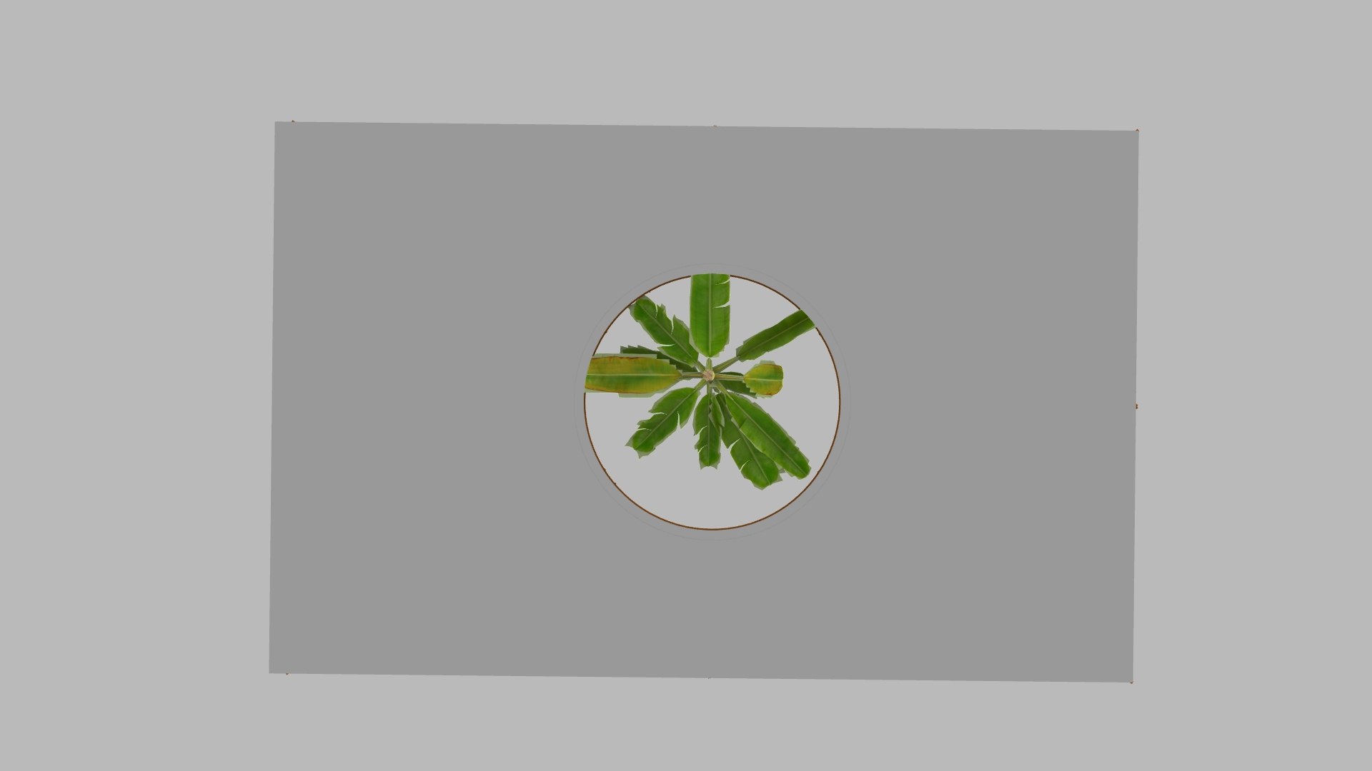 3D Model Wood Canopy Structure - TurboSquid 2050007