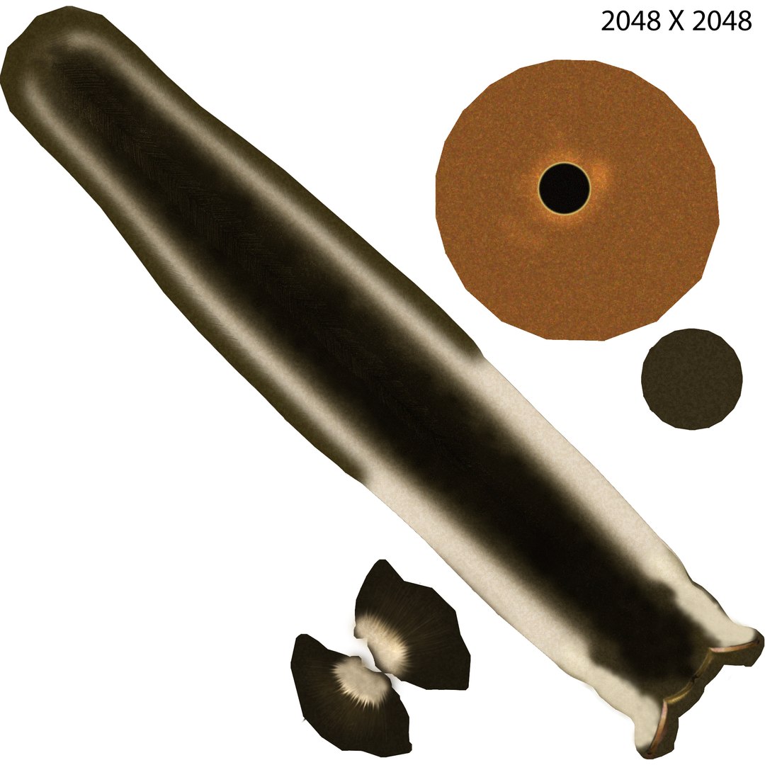 Fishes Anguilla 3d Model