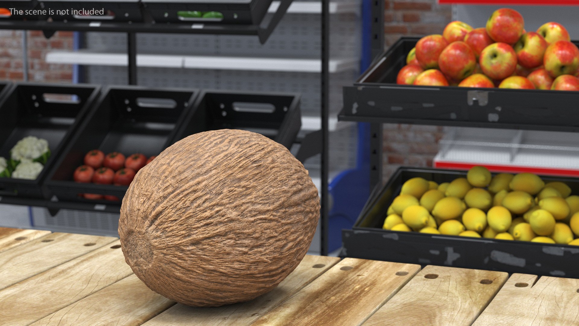 Coconuts Collection 3D Model - TurboSquid 2407139