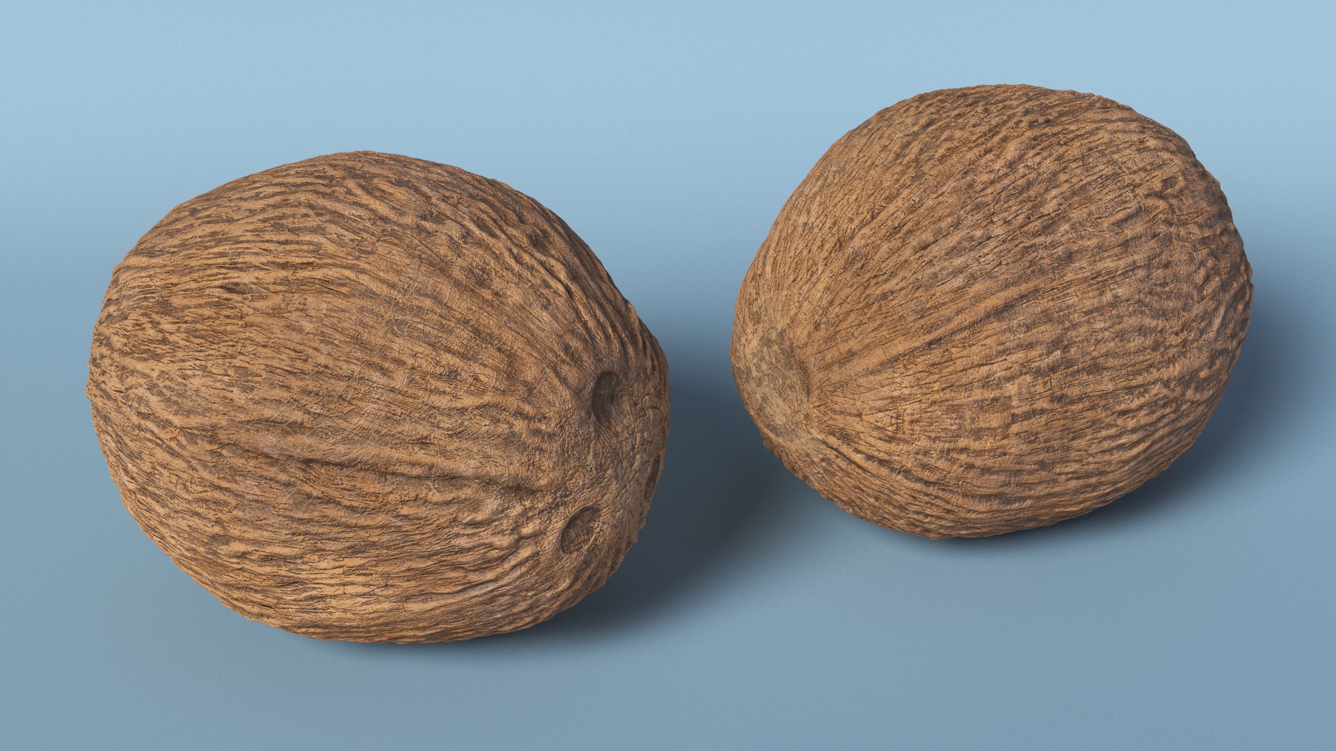 Coconuts Collection 3D Model - TurboSquid 2407139
