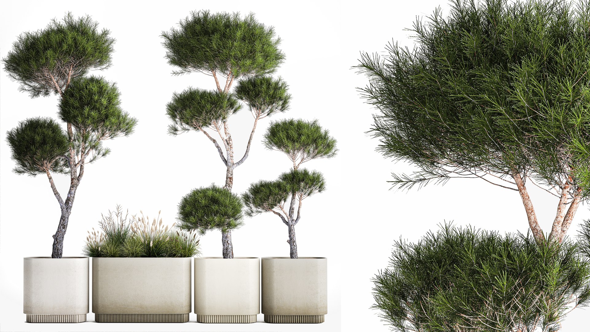 Decorative Pine Topiary In A Garden Flowerpot 1177 3D Model ...
