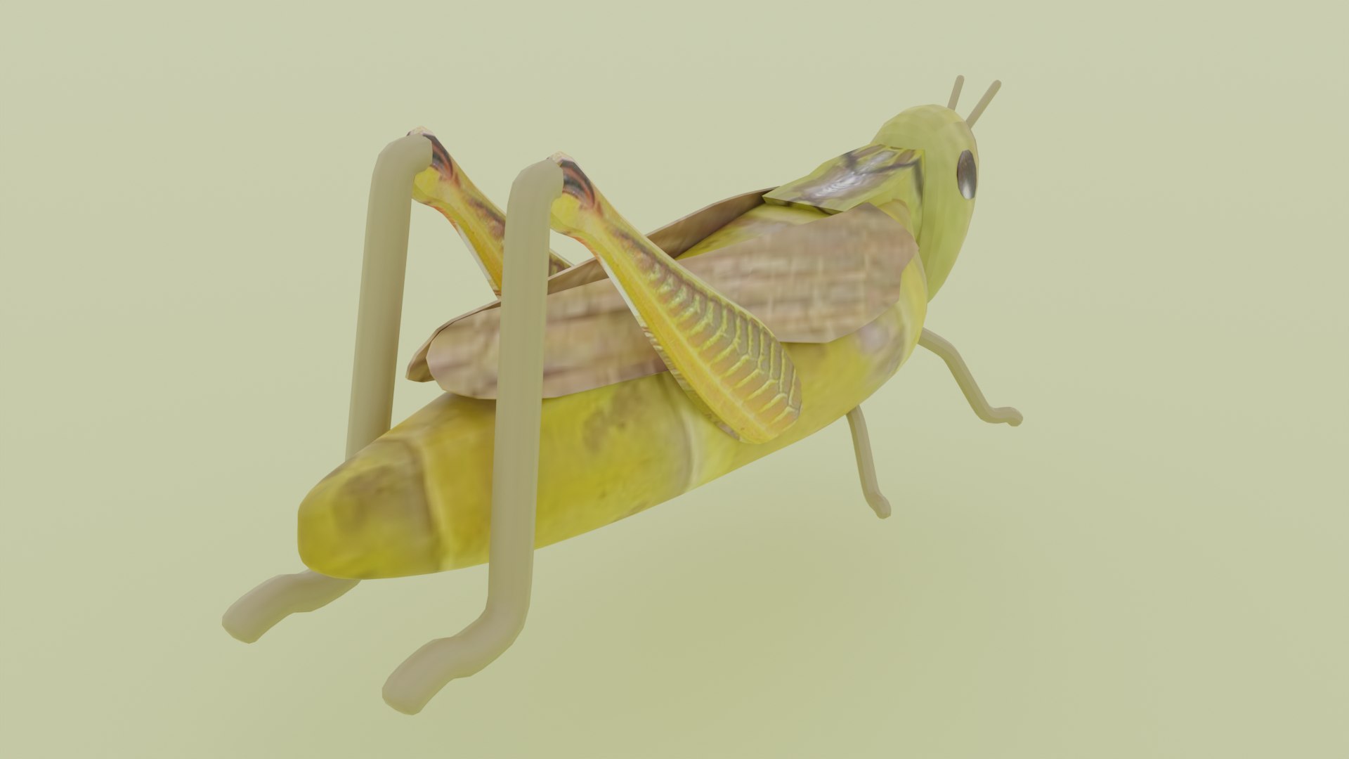 3D Grasshopper - TurboSquid 2172399