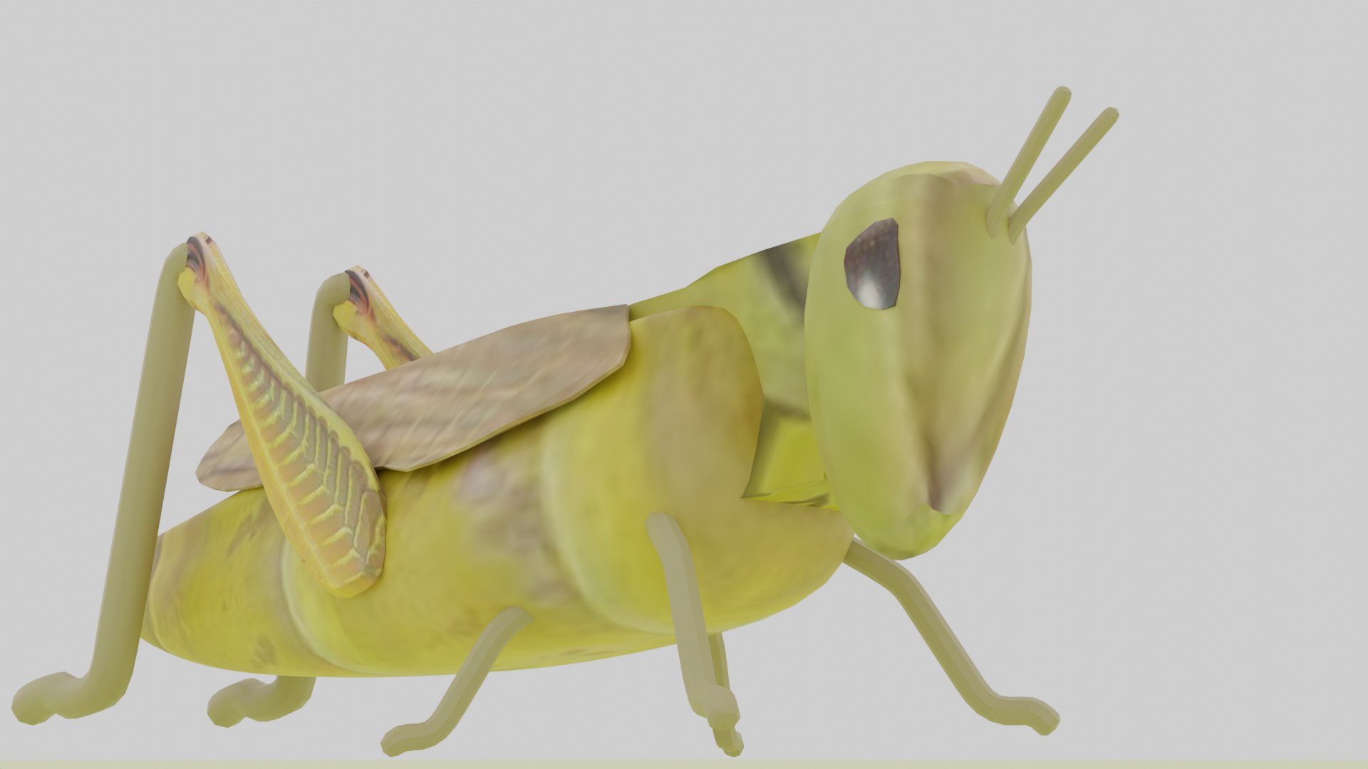 3D Grasshopper - TurboSquid 2172399