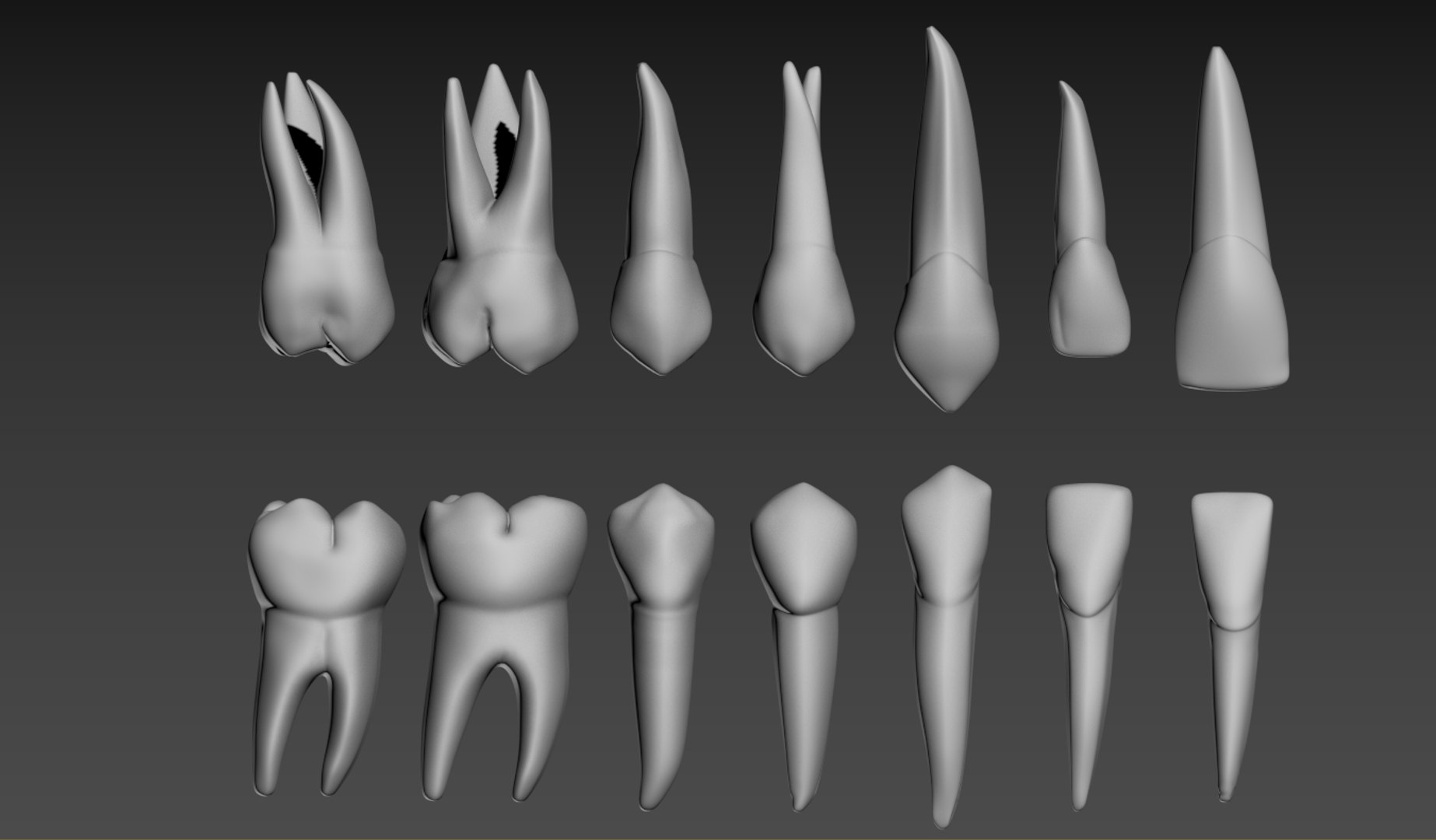 Teeth 3D - TurboSquid 1252989