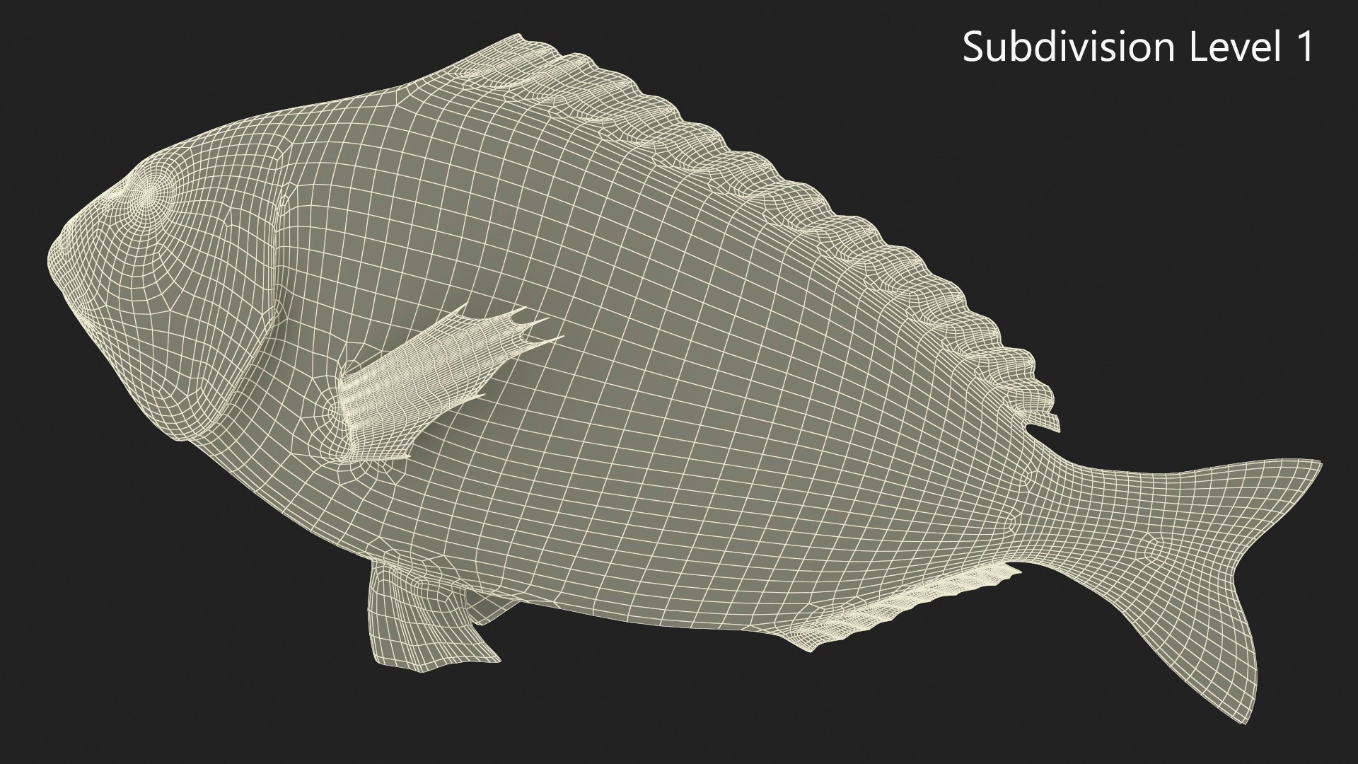 Gilthead Bream Fish Rigged Model - TurboSquid 2169037