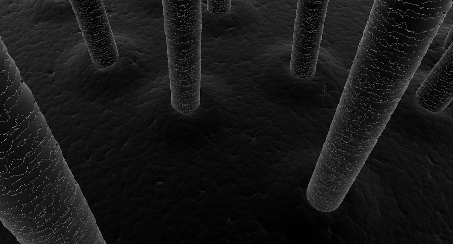 Hair Closeups 3d Max