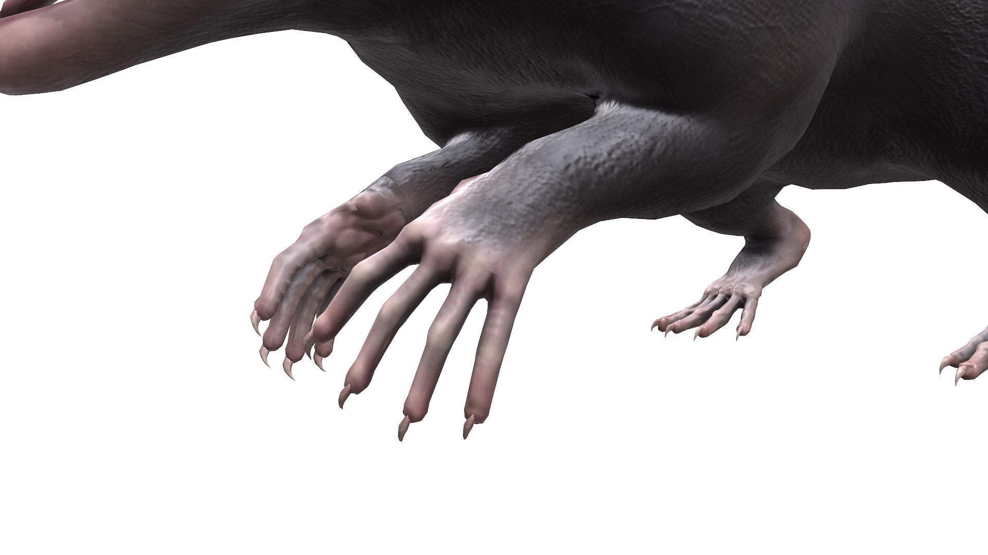 3D Rat Low-poly PBR Model - TurboSquid 1829389