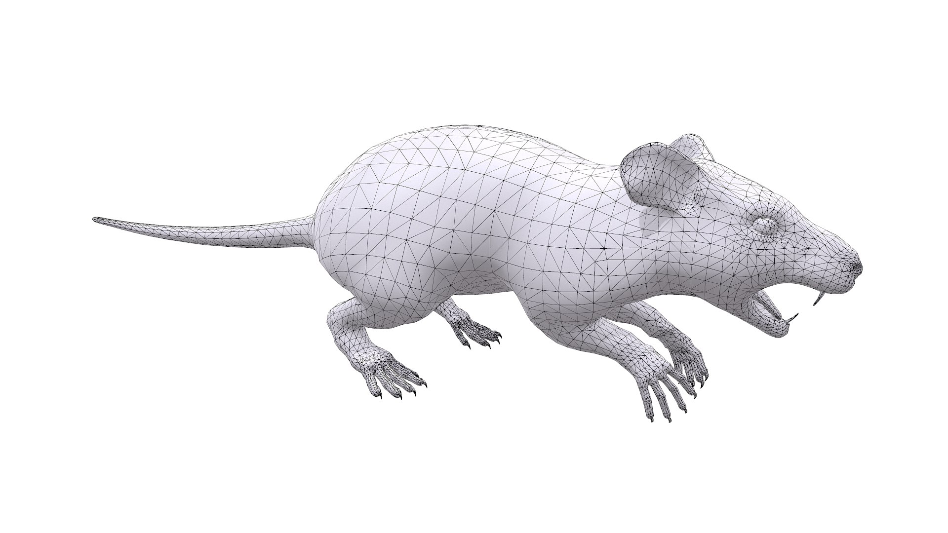 3D Rat Low-poly PBR Model - TurboSquid 1829389