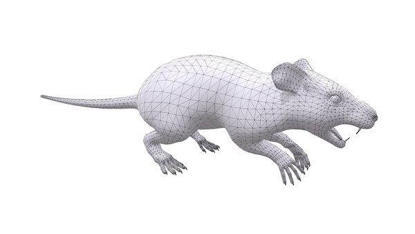 3D Rat Low-poly PBR model - TurboSquid 1829389