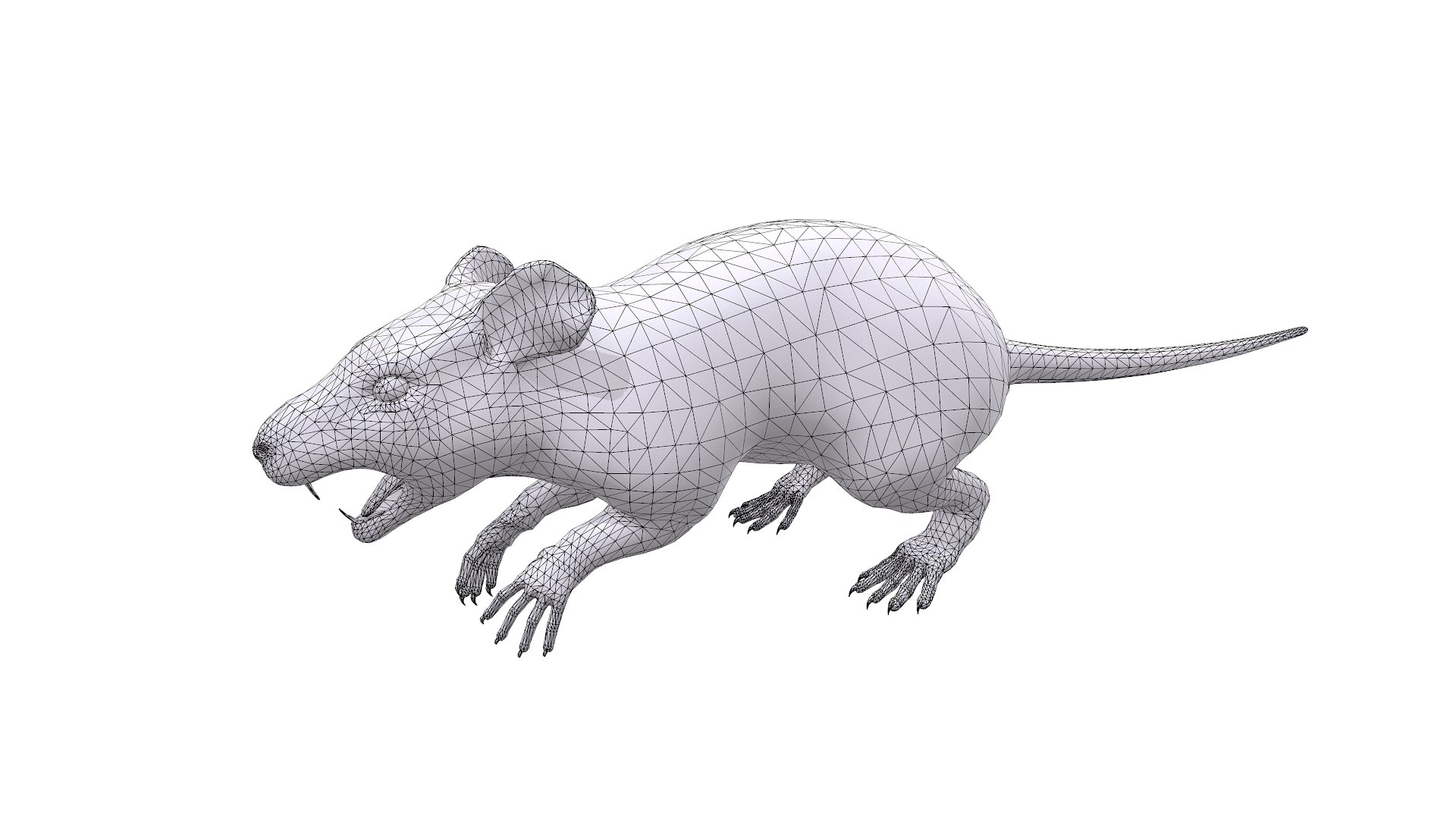 3D Rat Low-poly PBR Model - TurboSquid 1829389