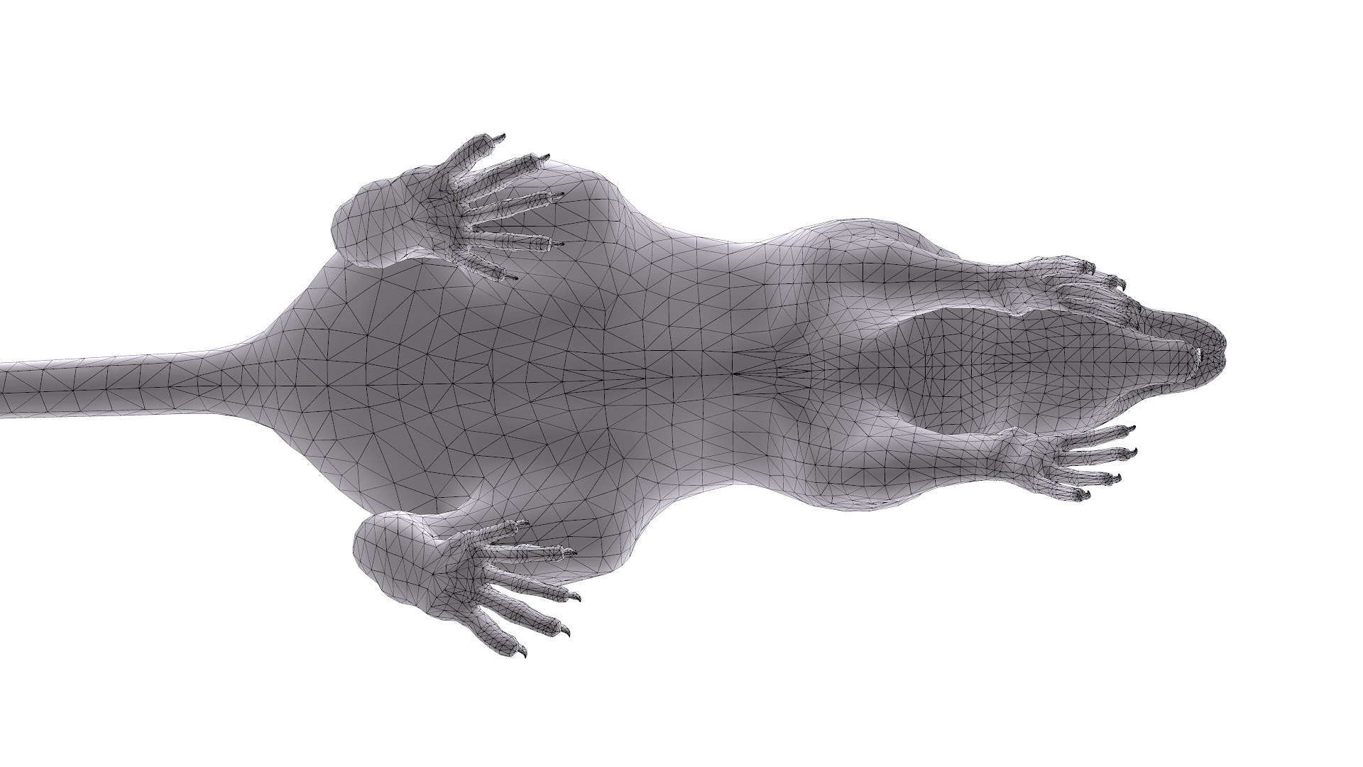 3D Rat Low-poly PBR Model - TurboSquid 1829389