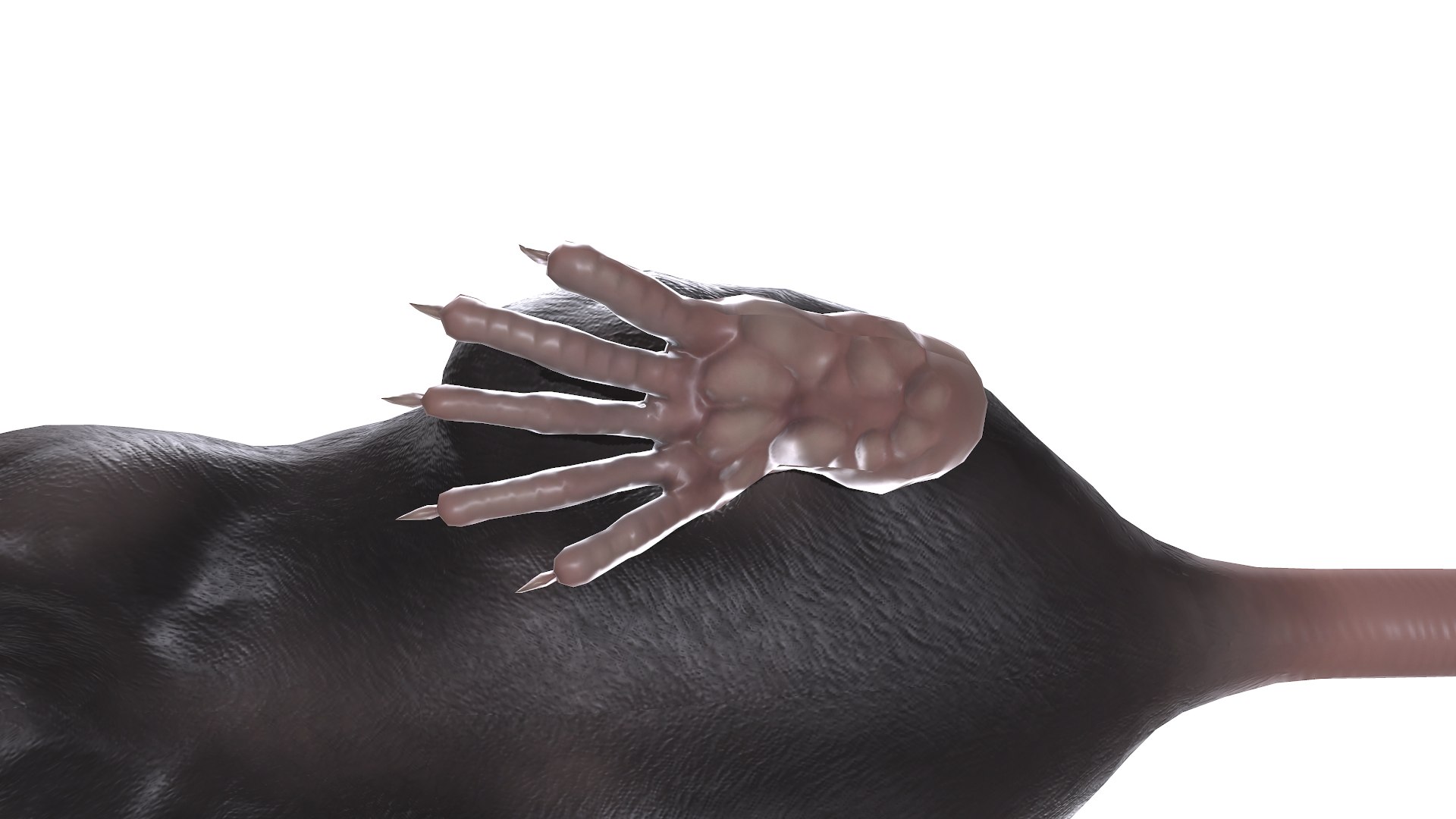 3D Rat Low-poly PBR Model - TurboSquid 1829389