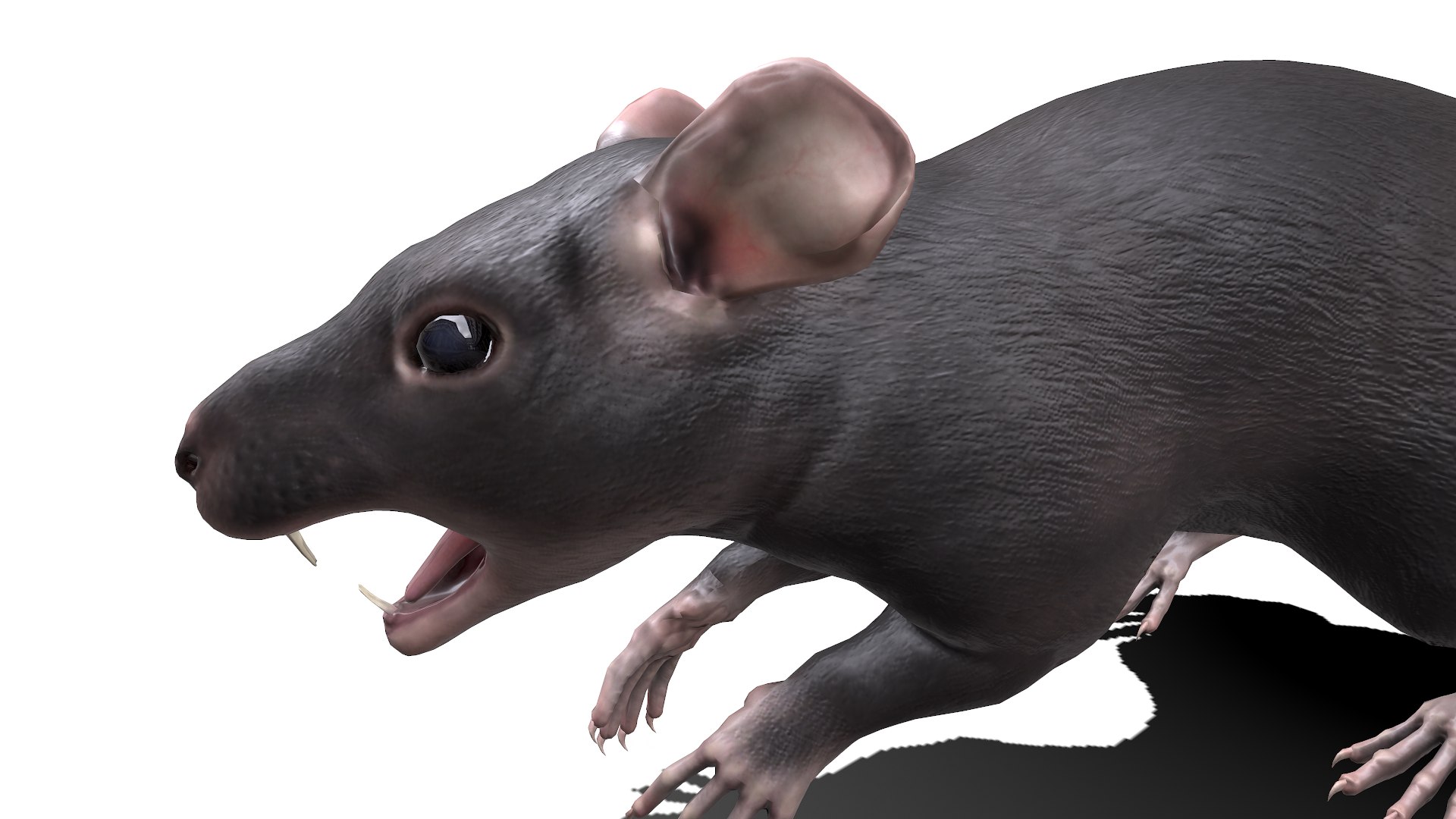 3D Rat Low-poly PBR Model - TurboSquid 1829389