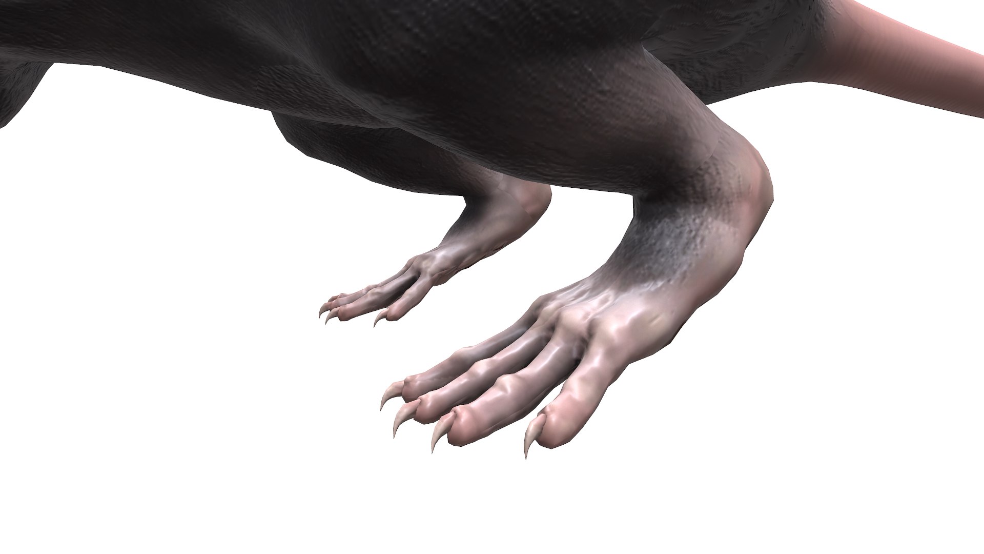 3D Rat Low-poly PBR Model - TurboSquid 1829389