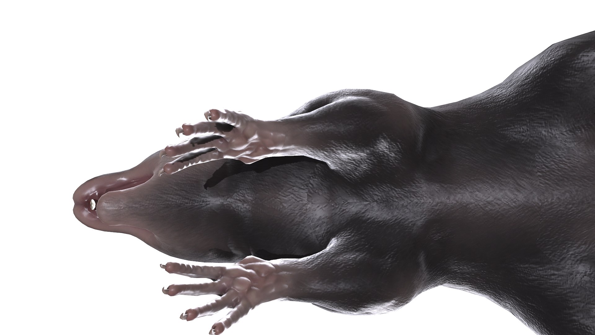 3D Rat Low-poly PBR Model - TurboSquid 1829389