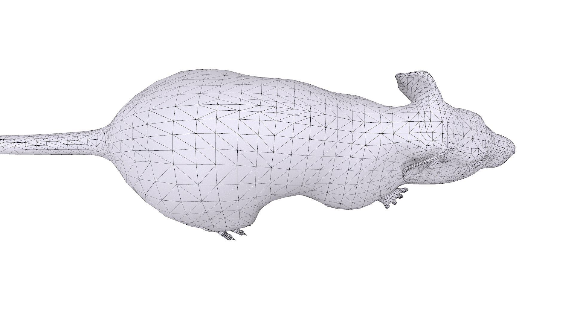 3D Rat Low-poly PBR Model - TurboSquid 1829389