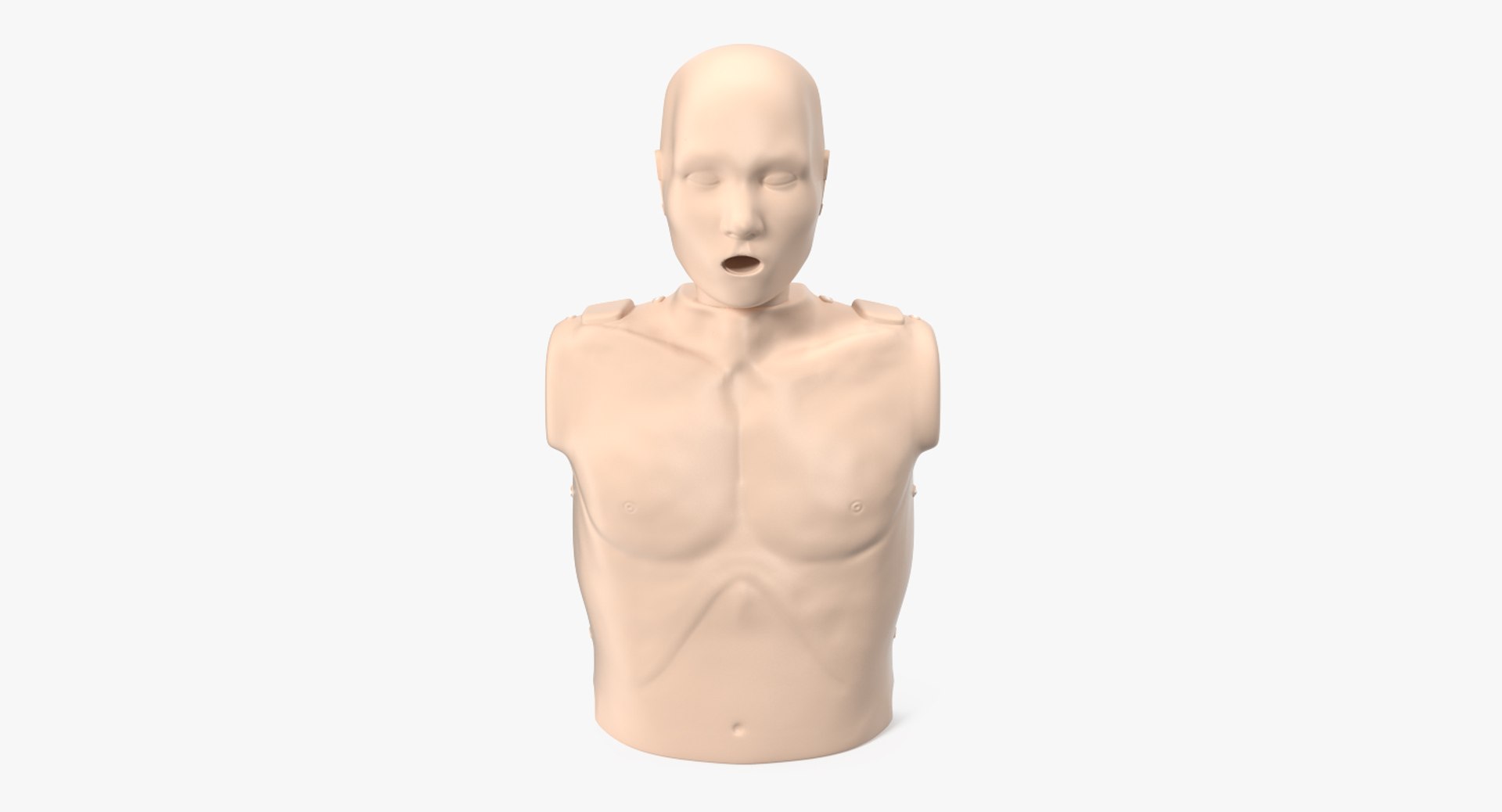 Half Body Aid Training 3D Model - TurboSquid 1329628