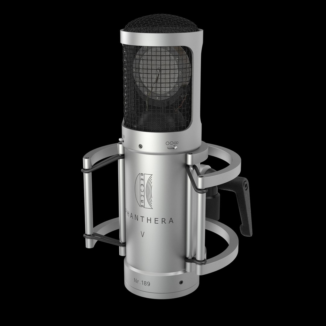 Microphone Brauner Max