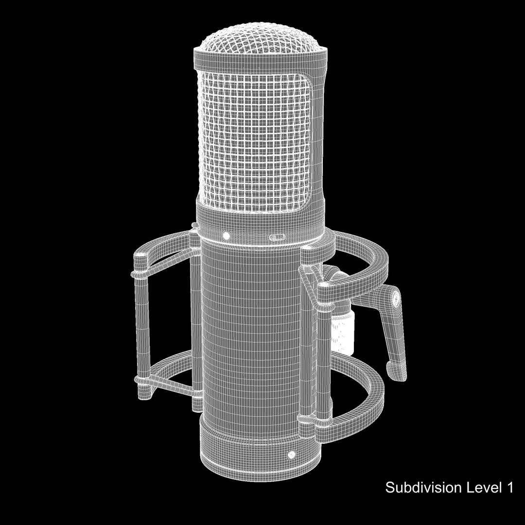 Microphone Brauner Max