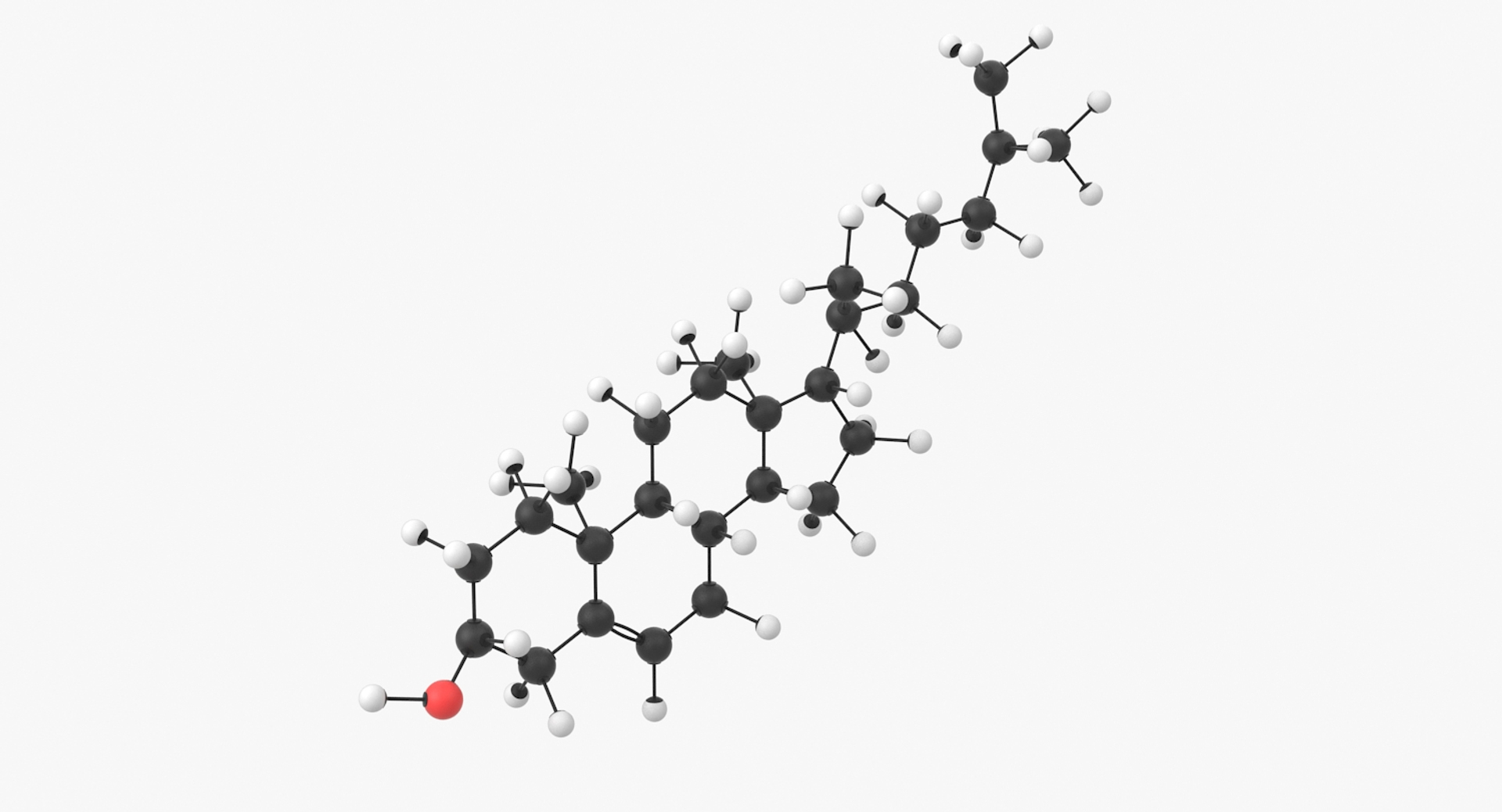 Cholesterol Molecule 3D Model - TurboSquid 1430117