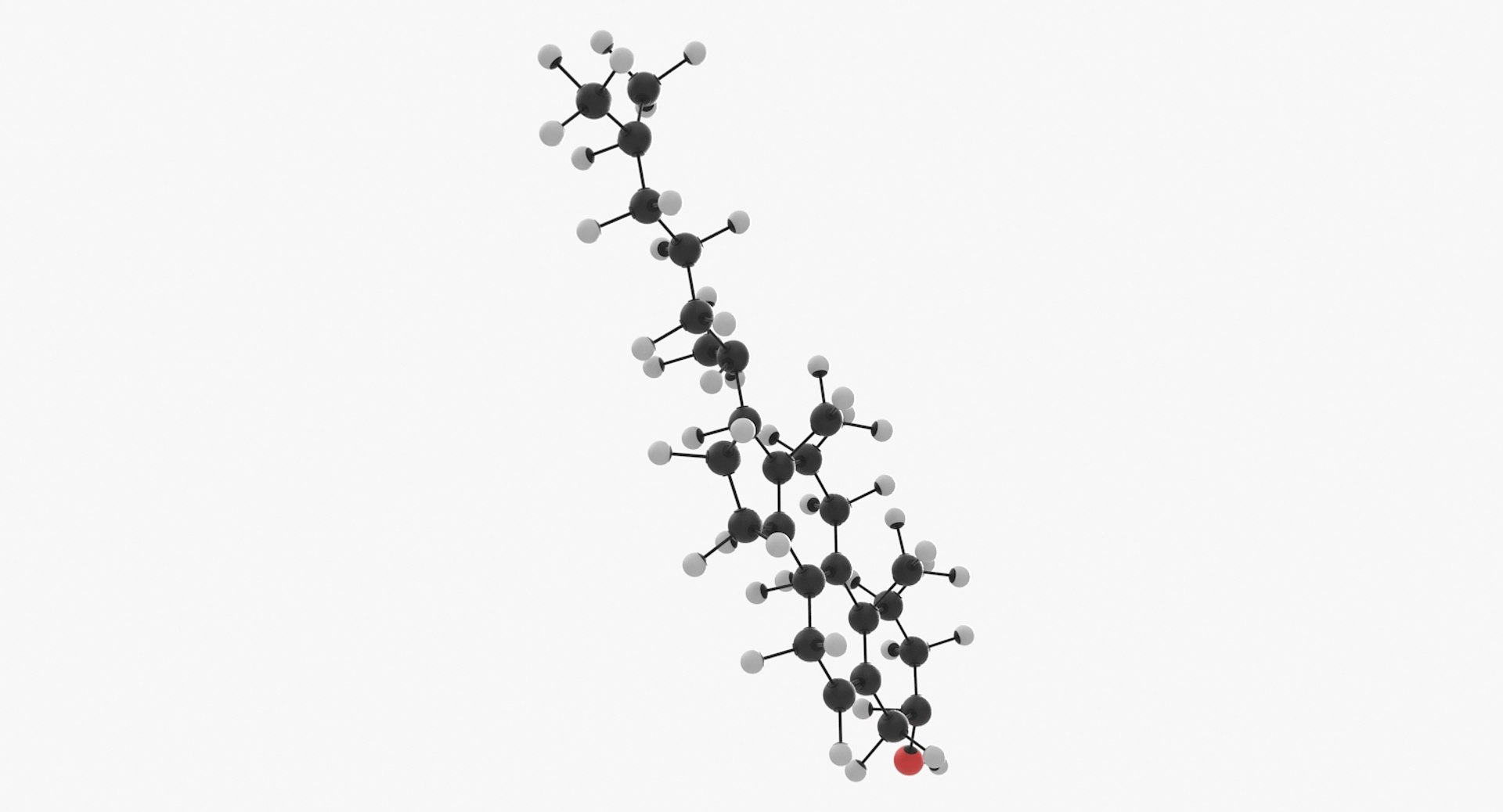 Cholesterol Molecule 3D Model - TurboSquid 1430117