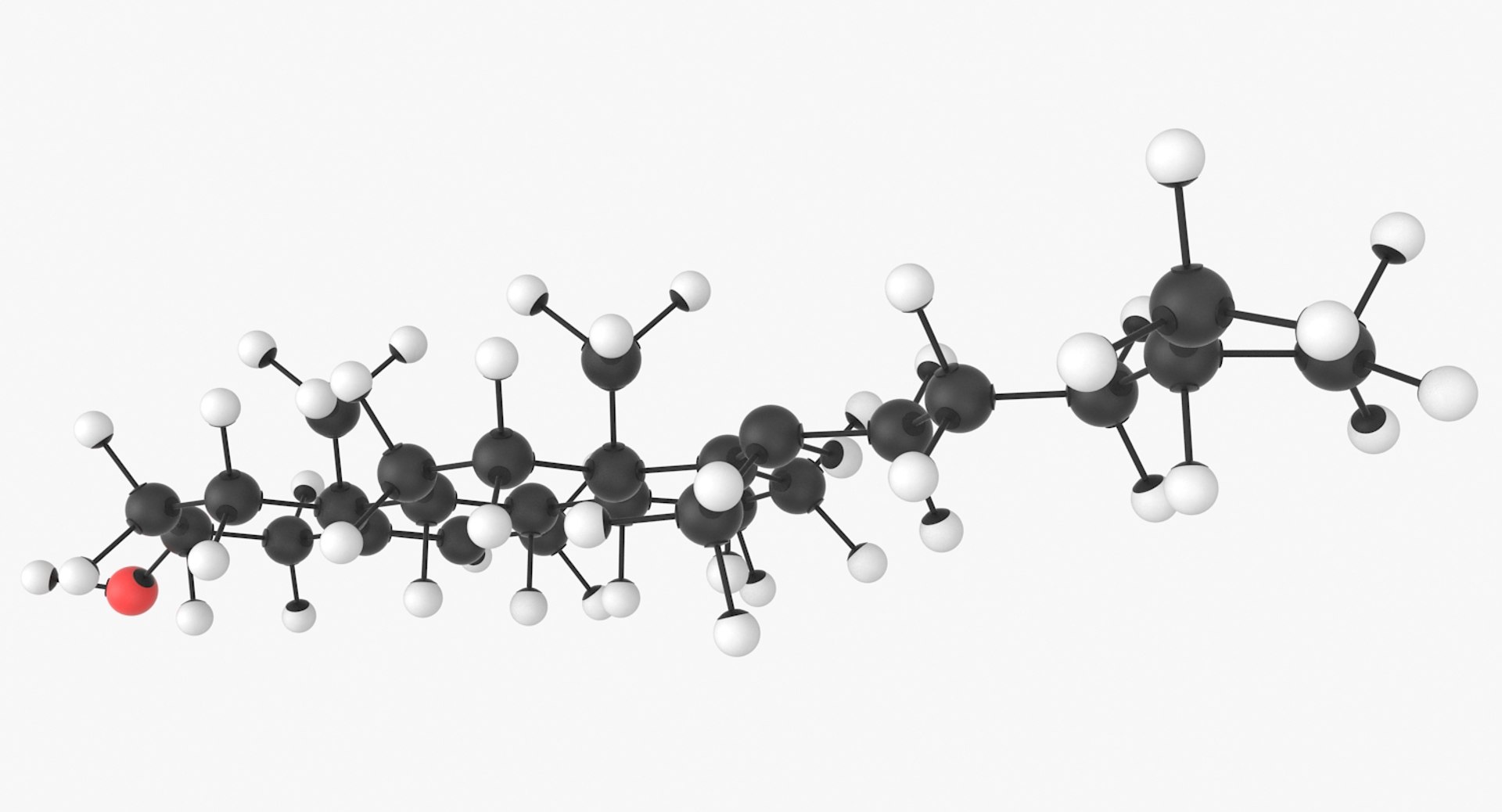 Cholesterol Molecule 3D Model - TurboSquid 1430117