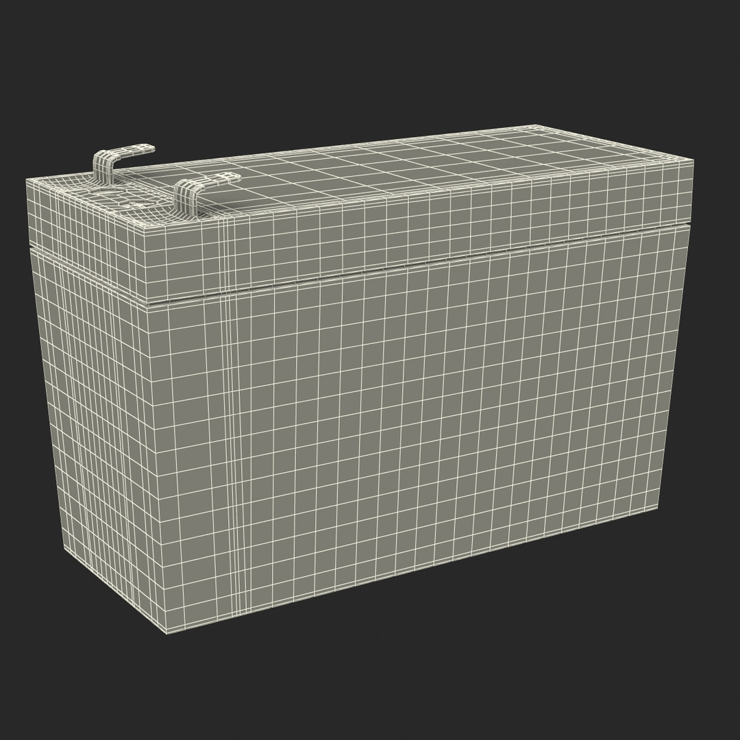 3ds Max 12 Volt Battery