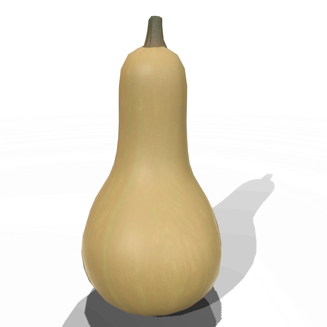 3D Squash Butternut - TurboSquid 2056630
