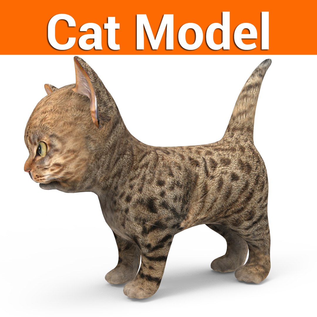 Cute Cat 3D Model - TurboSquid 1220893