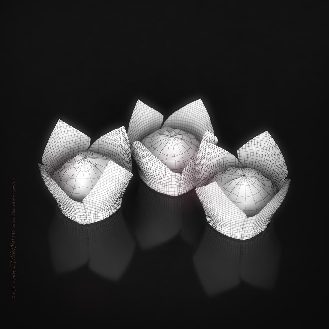 max muffins baking paper hq