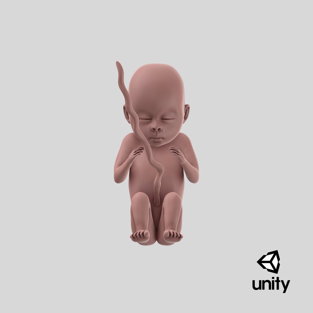 Human Fetus Pbr 3D - TurboSquid 1276854