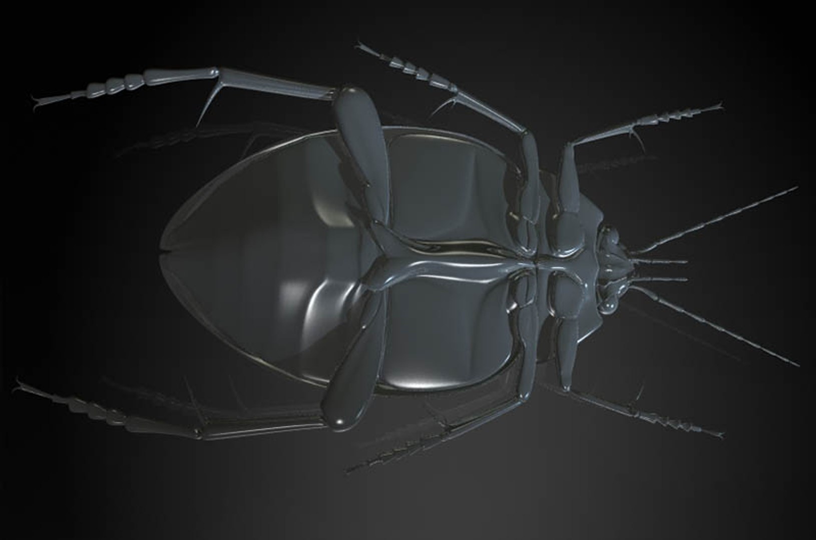 Diving Beetle Insects Model - TurboSquid 1318891