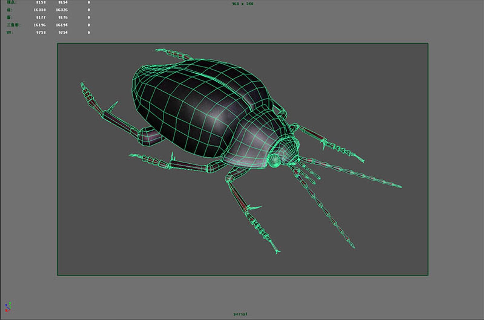 Diving Beetle Insects Model - TurboSquid 1318891