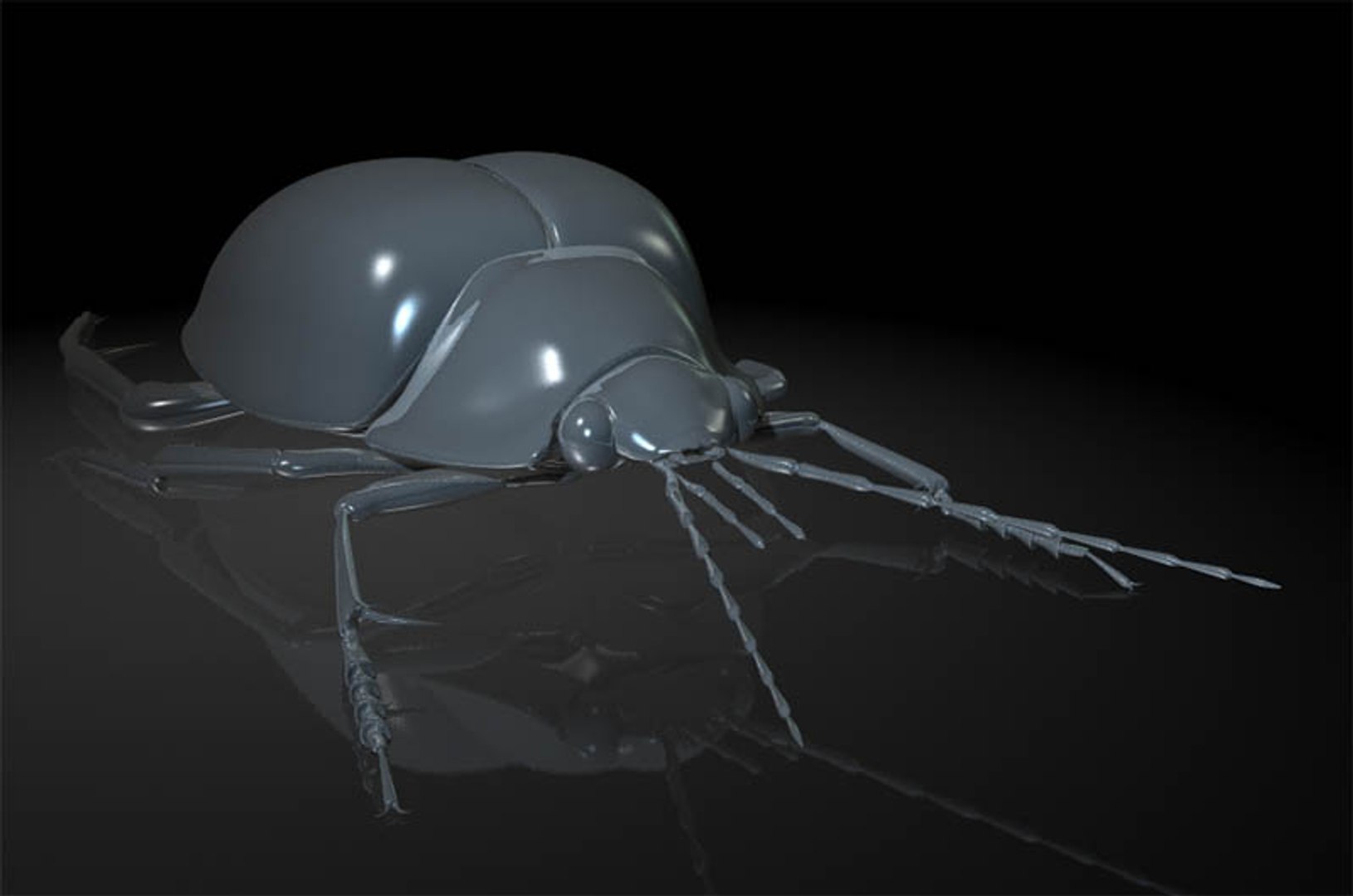 Diving Beetle Insects Model - TurboSquid 1318891