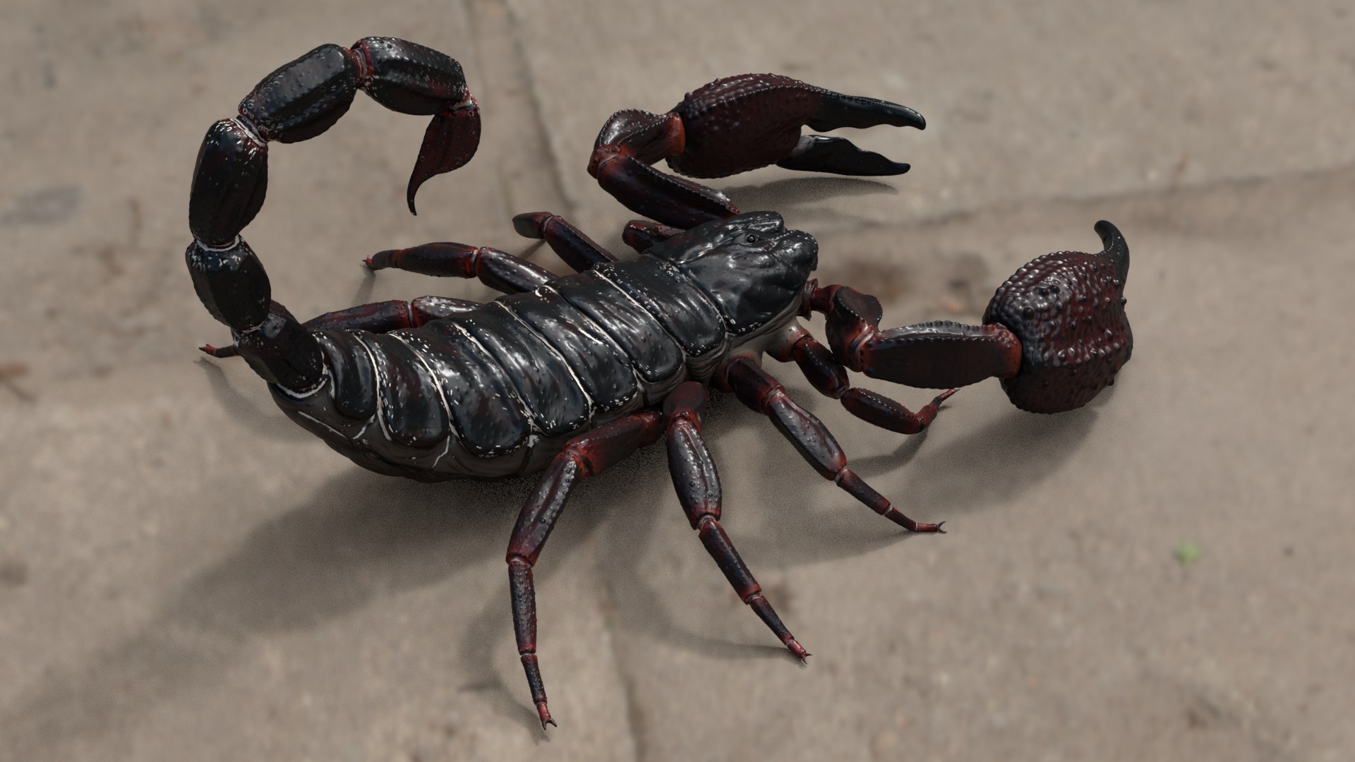 3D Production Scorpion Rig - TurboSquid 1498722