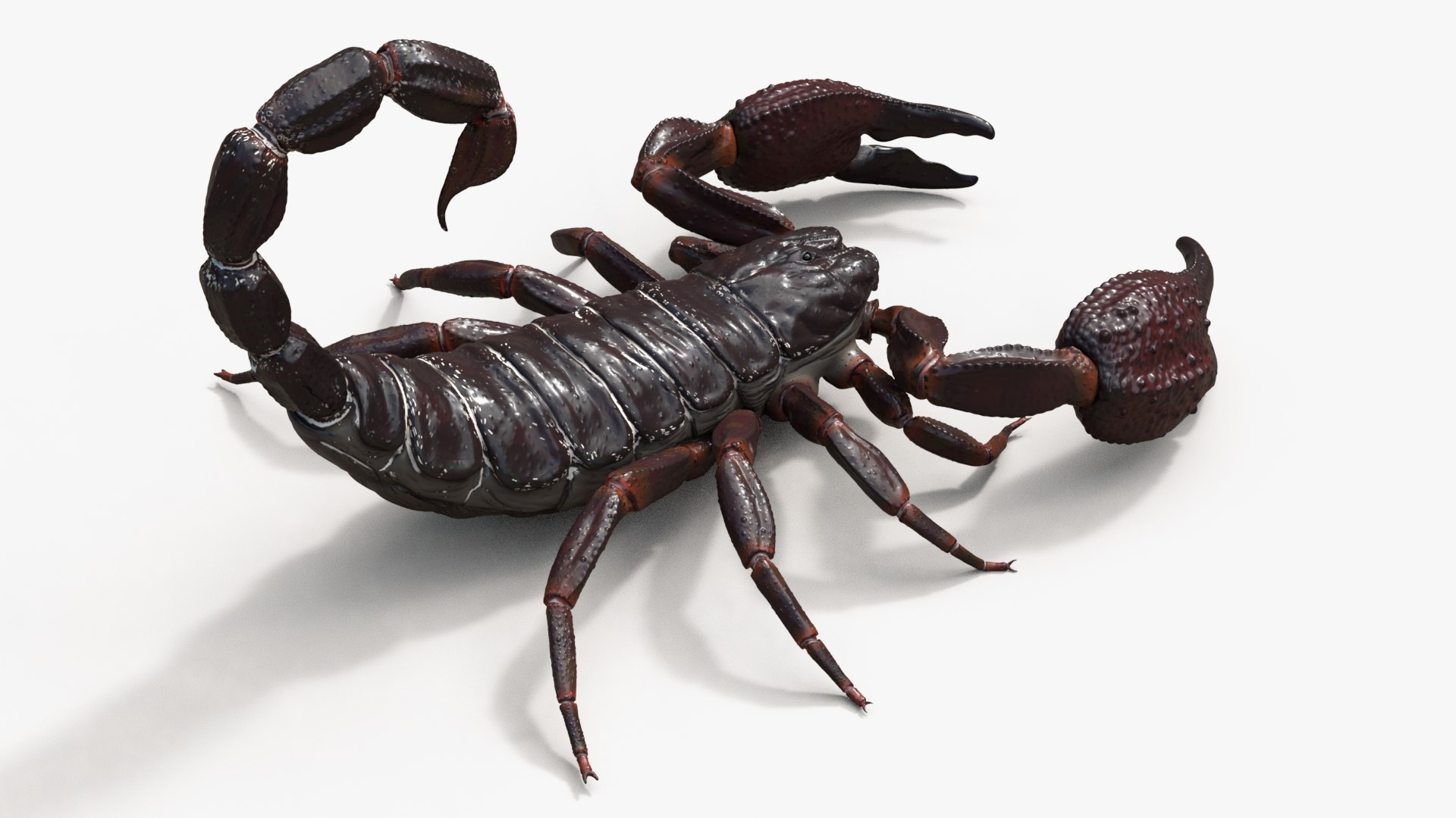 3D Production Scorpion Rig - TurboSquid 1498722