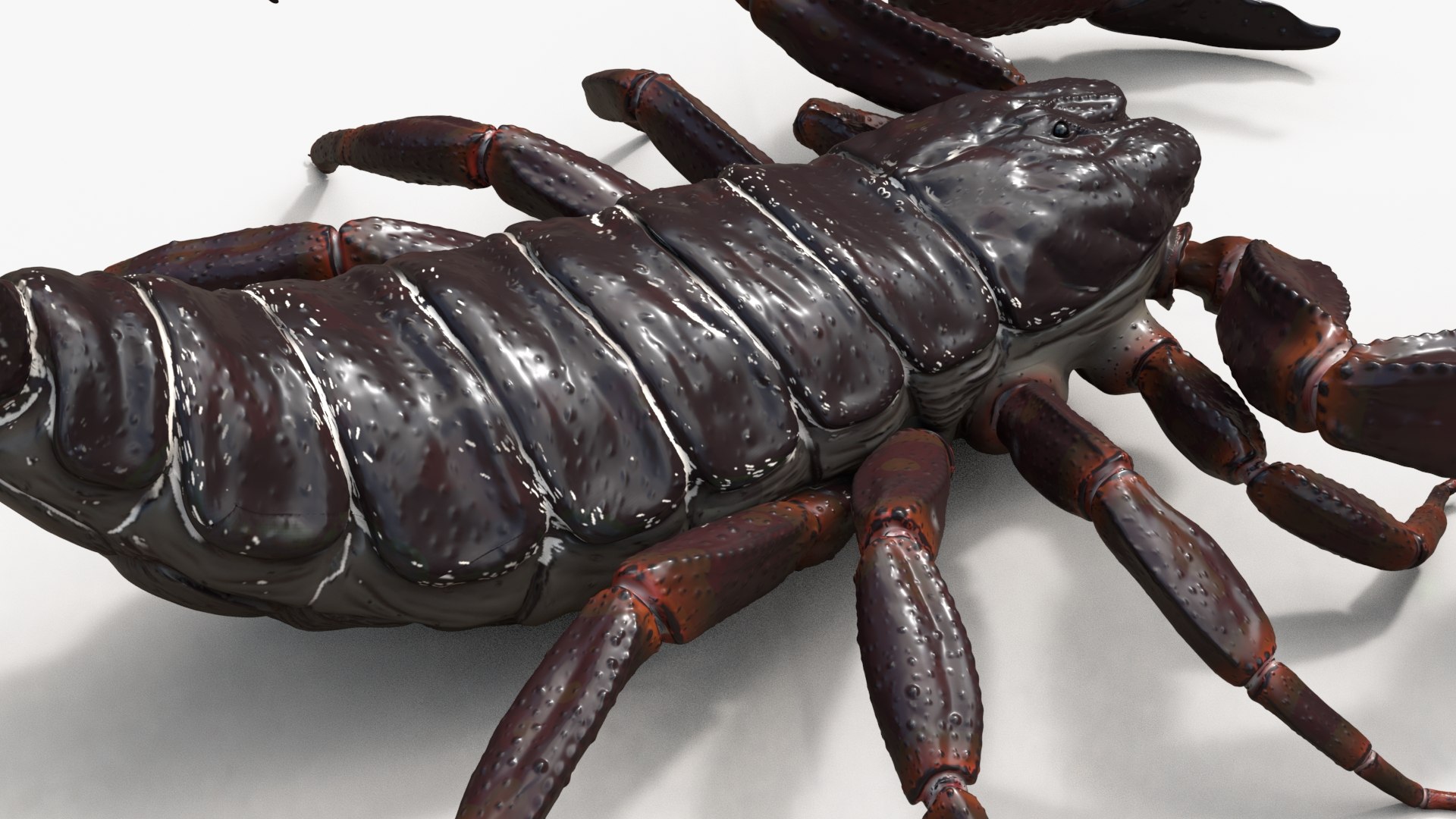 3D Production Scorpion Rig - TurboSquid 1498722