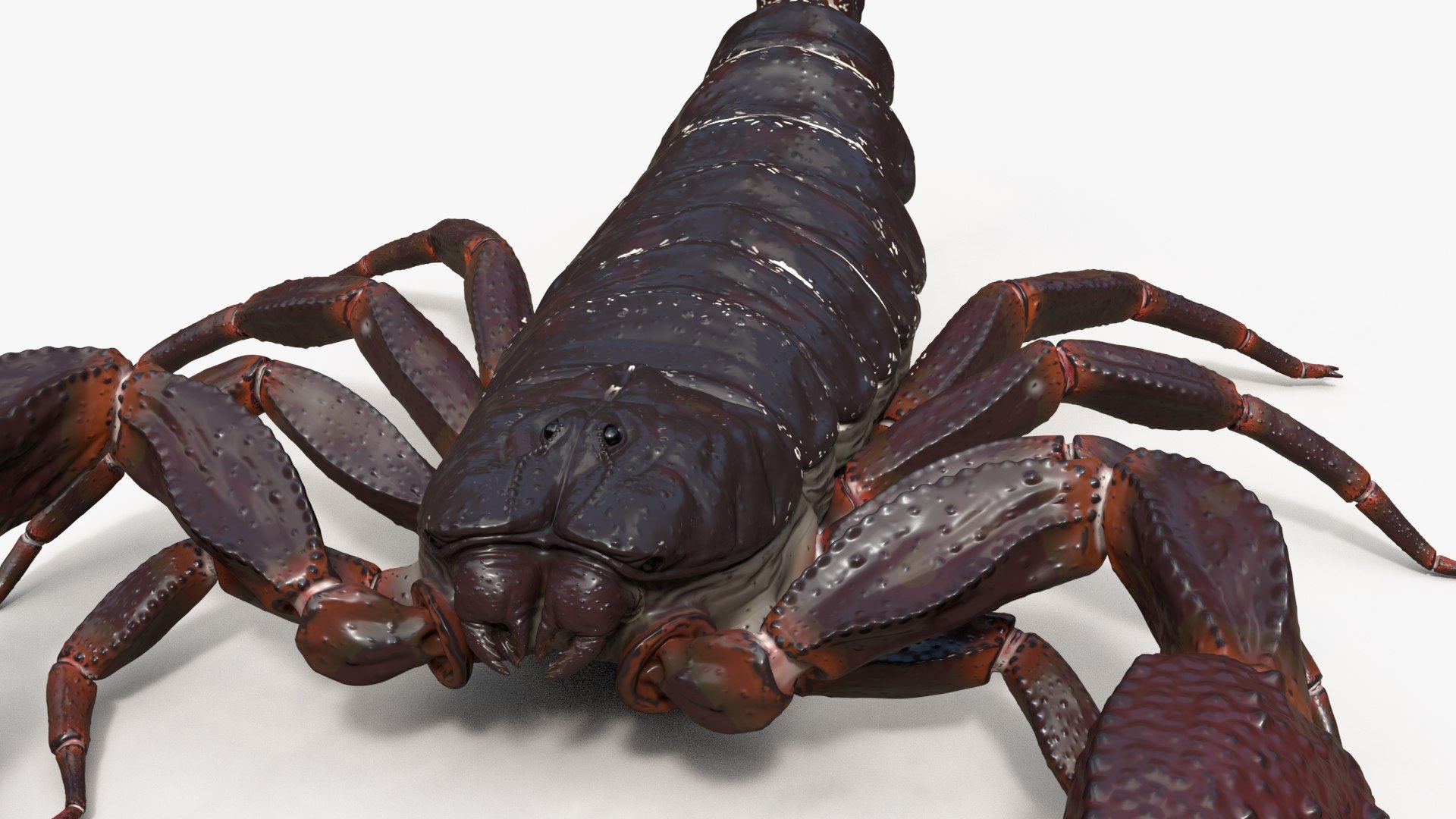 3D Production Scorpion Rig - TurboSquid 1498722